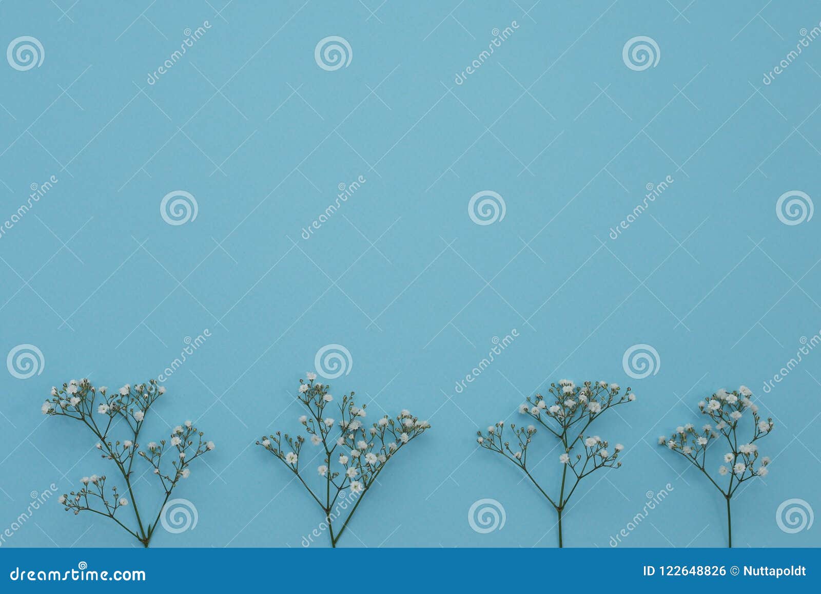 Flower Pattern Top View on Color Paper for Background Stock Photo ...