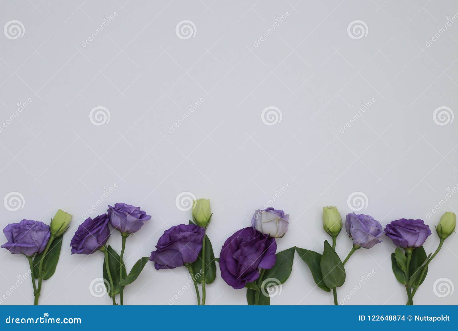 Flower Pattern Top View on Color Paper for Background Stock Photo ...