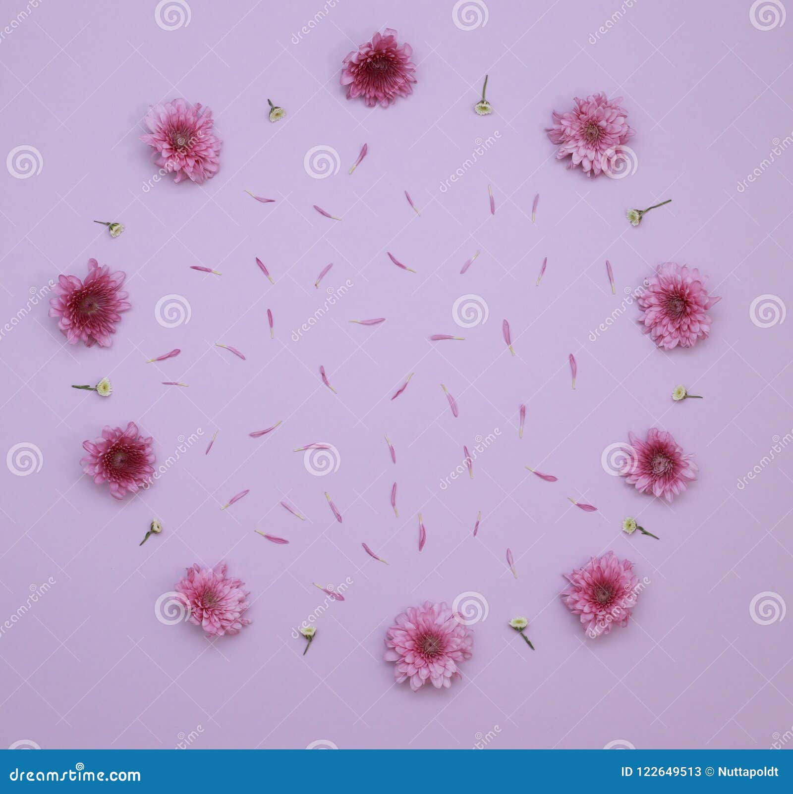 Flower Pattern Top View on Color Paper for Background Stock Image ...