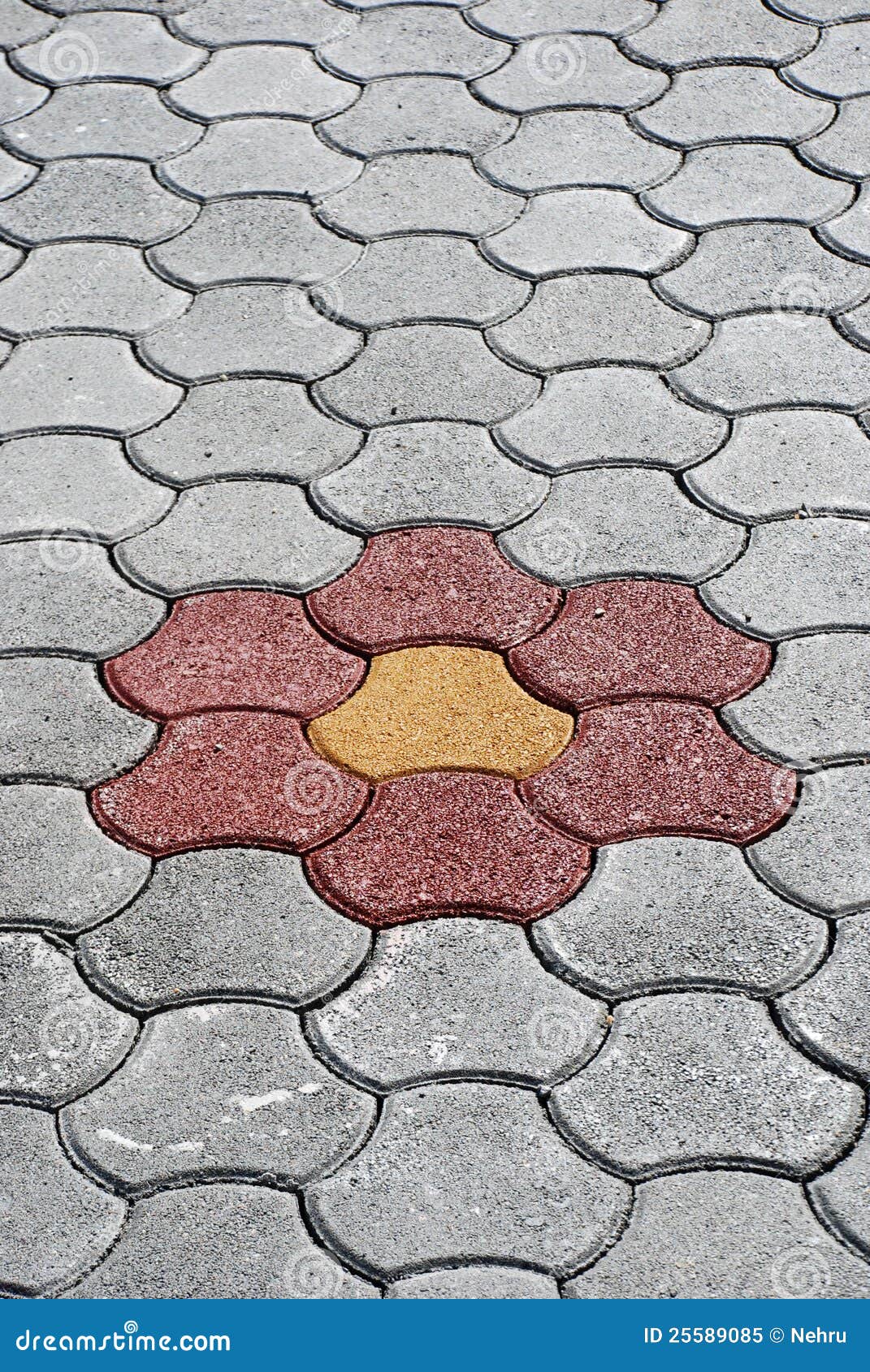 Flower pavement stock image. Image of blocks, shiny, pattern - 25589085