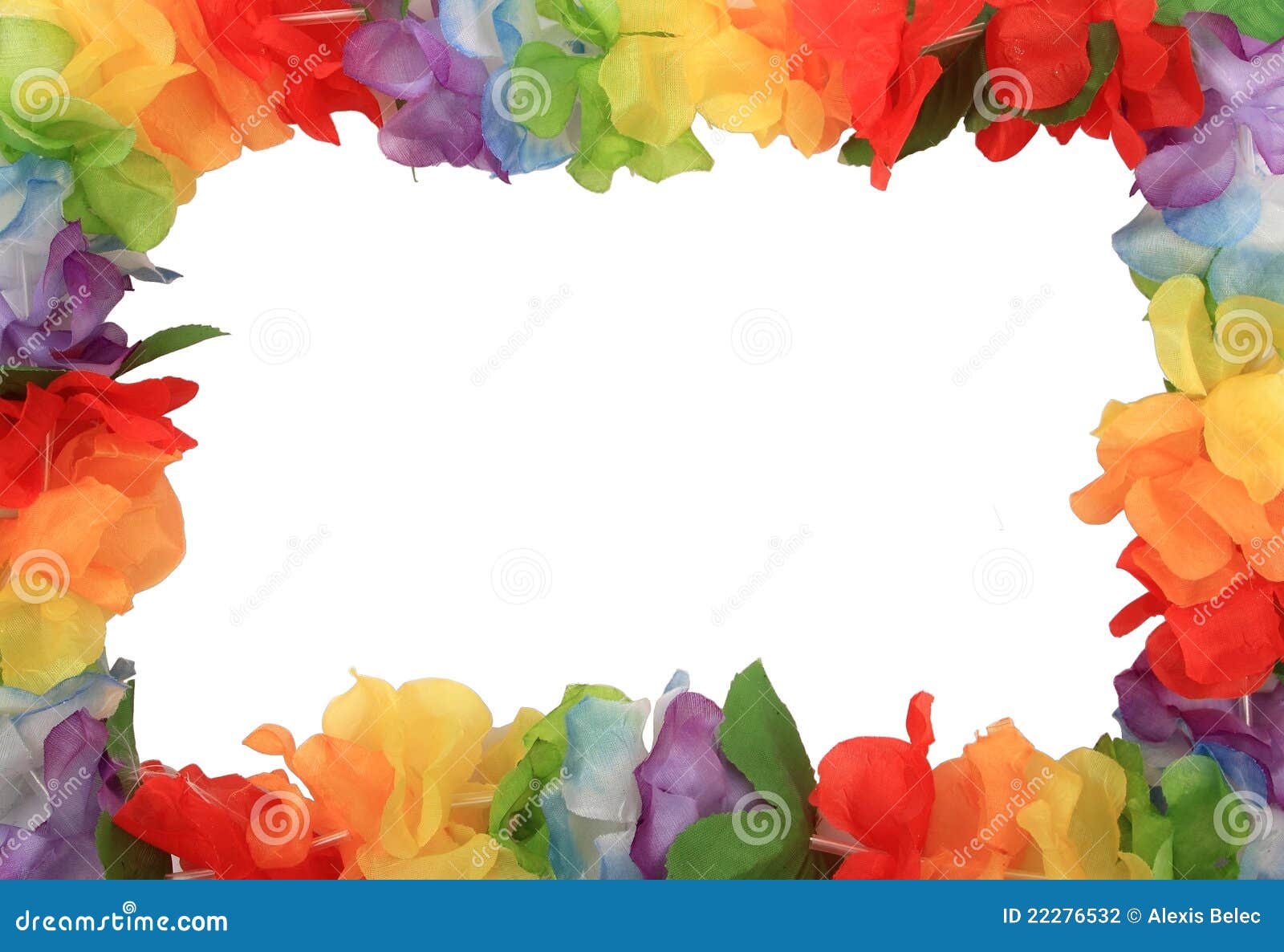 Flower petal frame stock photo. Image of closeup, border - 22276532