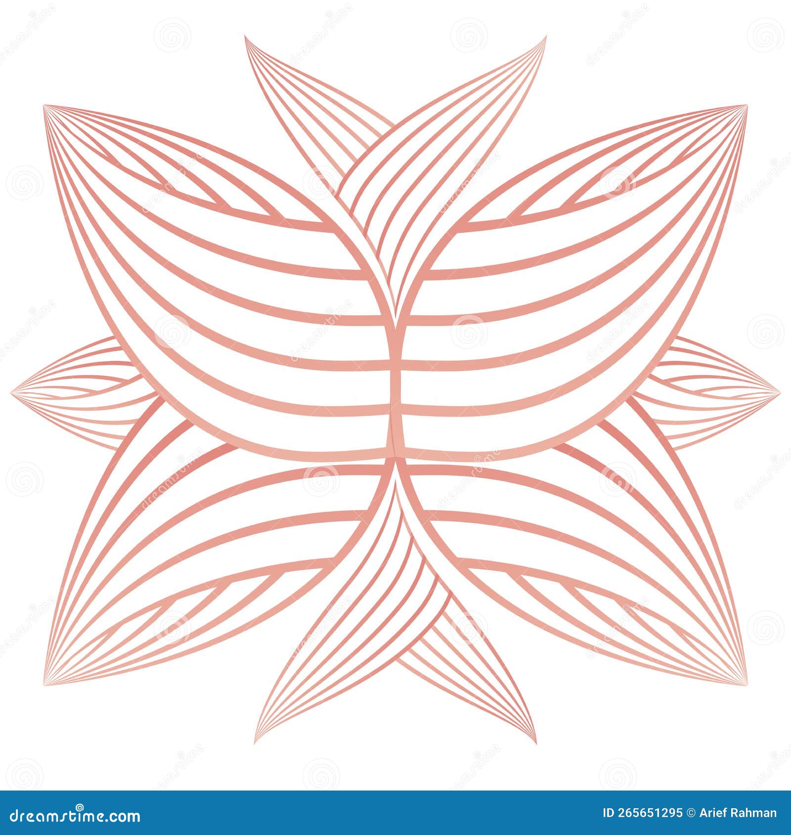 Beautiful Flower Petals, Flower Line Design Stock Vector - Illustration ...