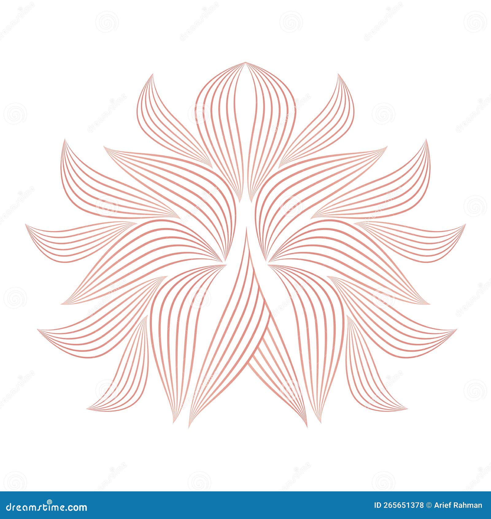 Beautiful Flower Petals, Flower Line Design Stock Vector - Illustration ...
