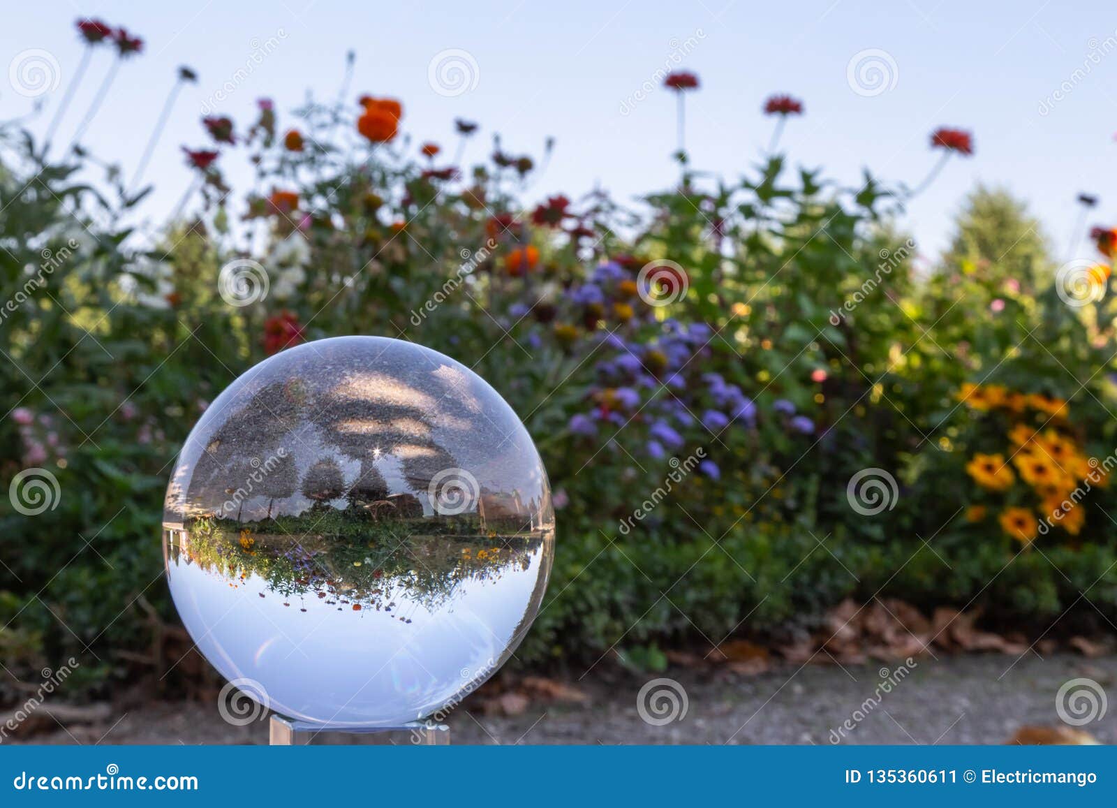 Flower photo sphere stock image. Image of bulb, called - 135360611