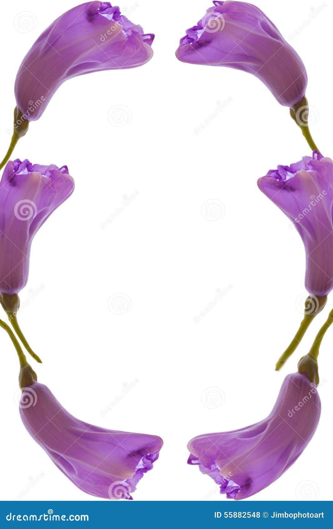 Flower picture frame stock photo. Image of portrait, vertical - 55882548