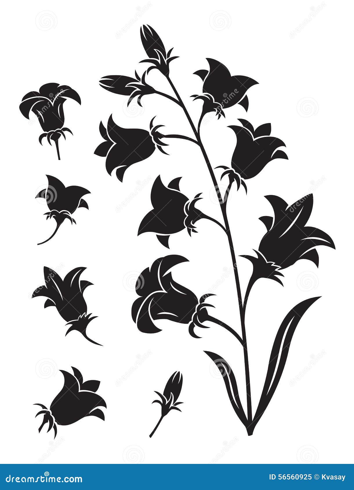 Flower stock illustration. Illustration of bells, floral - 56560925