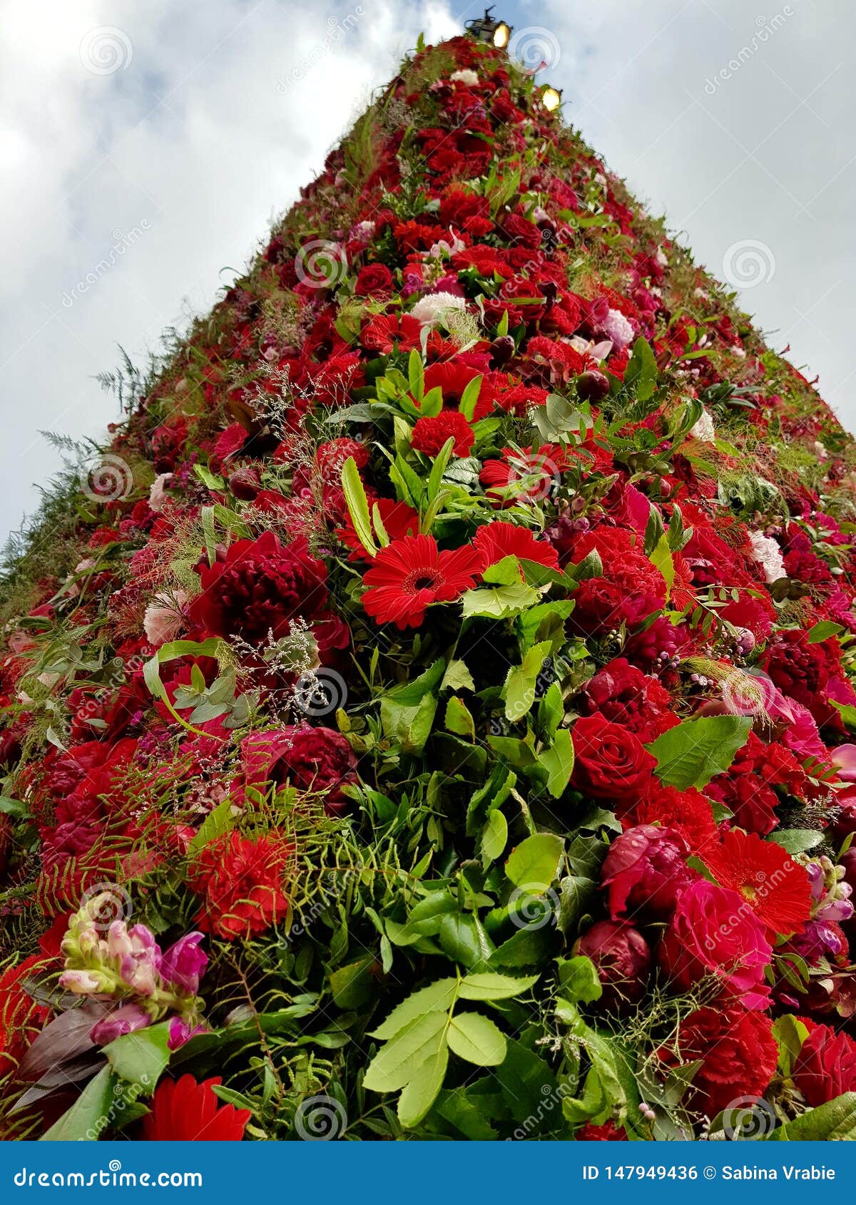 Flower piramid stock photo. Image of composition, flowers - 147949436