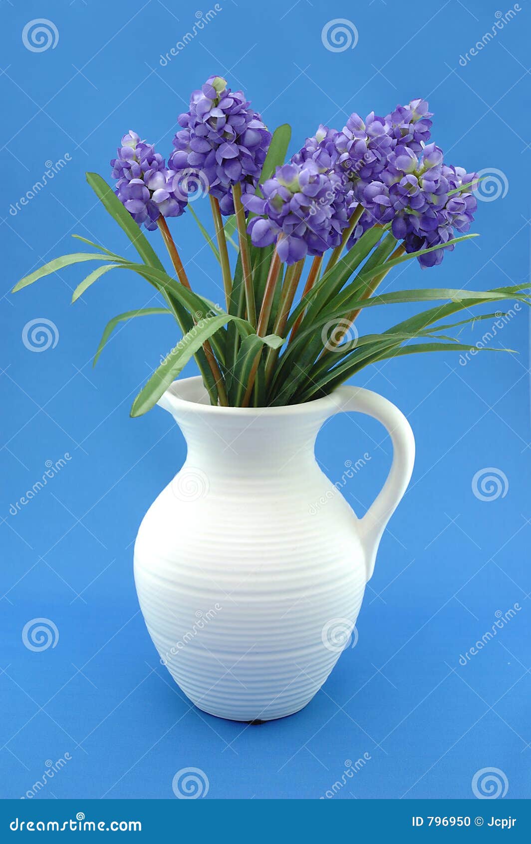 Flower Pitcher stock photo. Image of arrangement, arrange - 796950