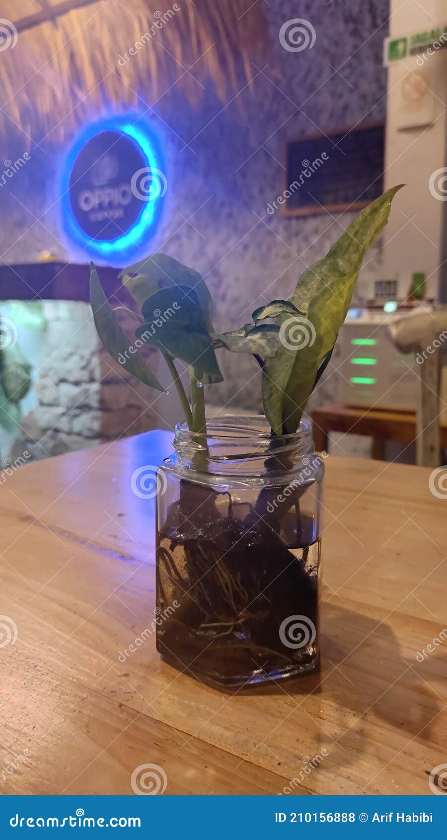 The Cafe Inside Kunsthistorisches Museum Wien Or Museum Of Art History ...