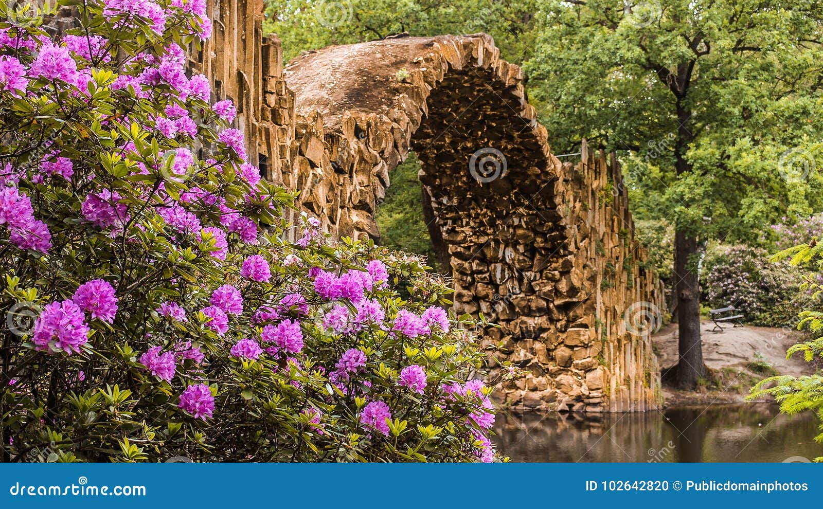 Flower, Plant, Vegetation, Flora Picture. Image: 102642820