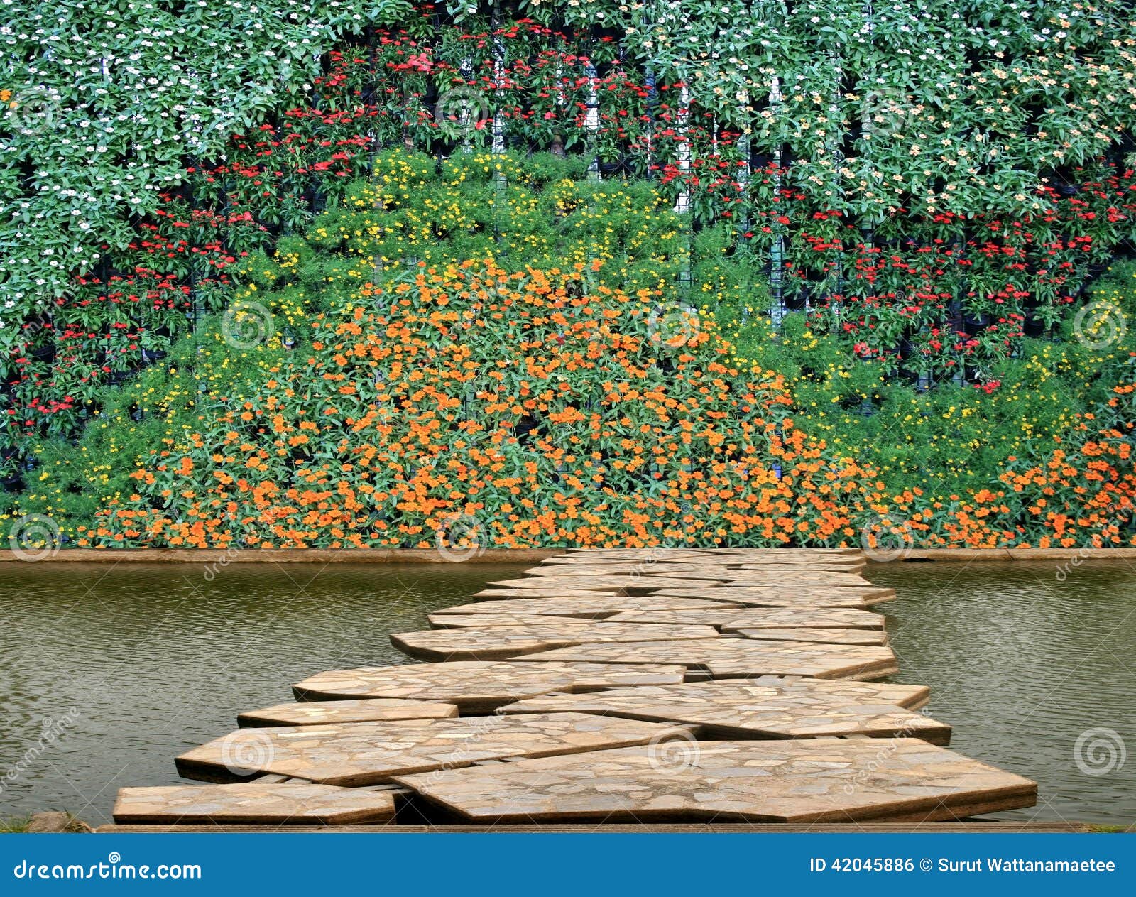 Flower and Plant Wall Vertical Garden Stock Photo - Image of tree ...