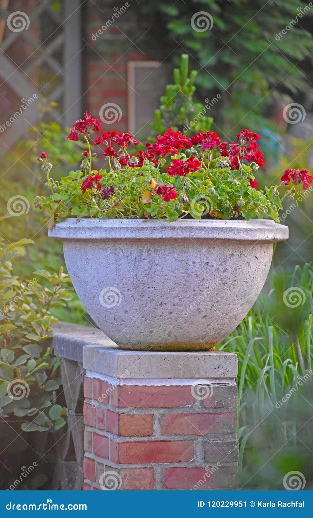 Flower Planter on Brick Post with Red Flora Stock Image - Image of ...