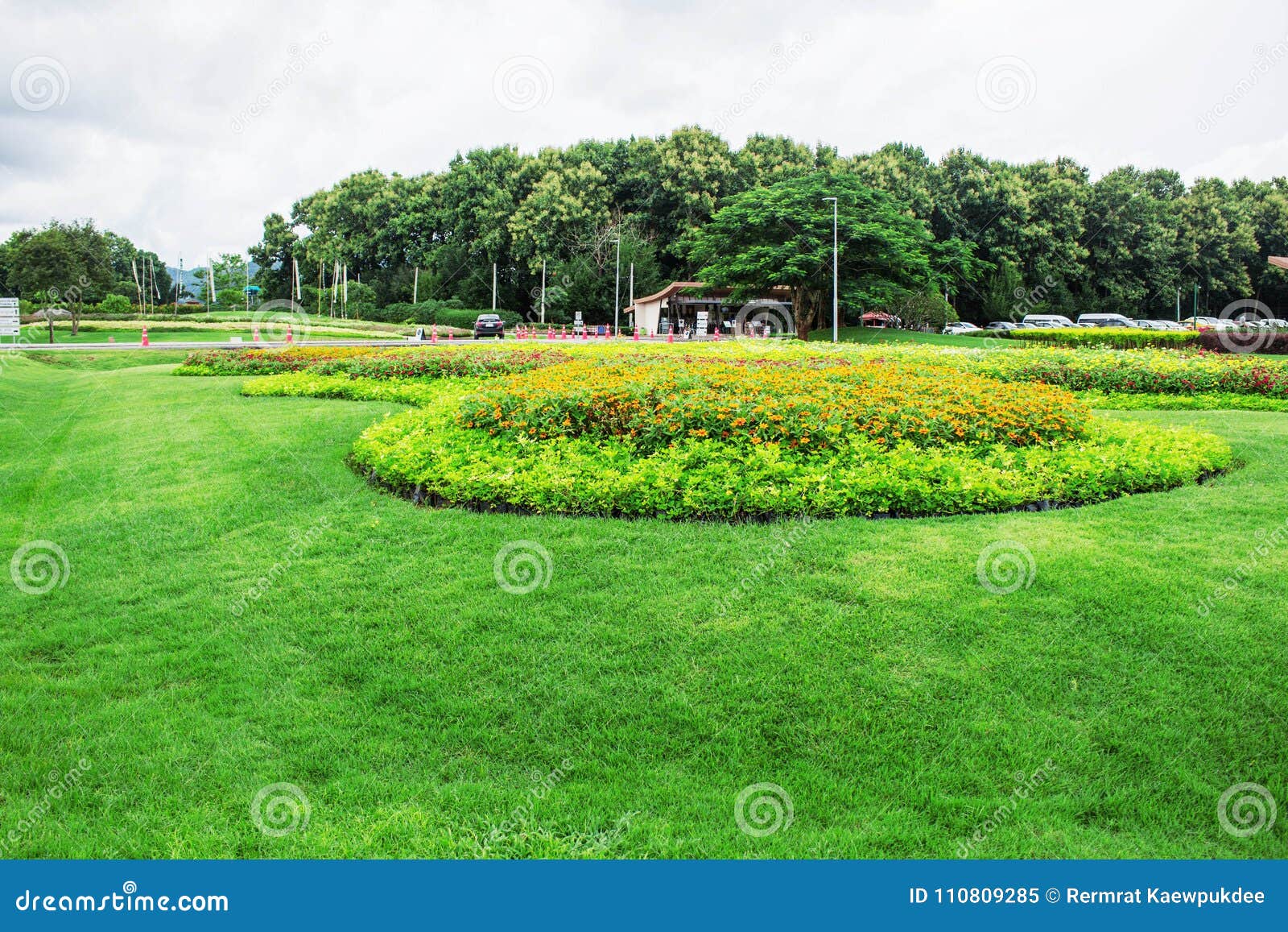 Flower plots in the park. stock image. Image of blossom - 110809285