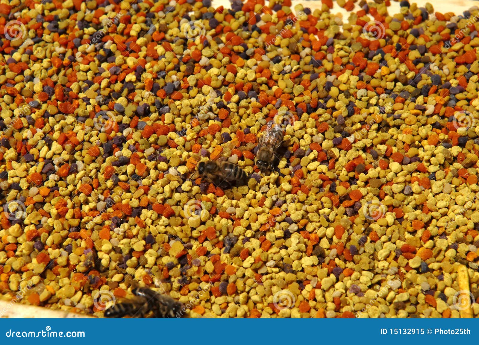 Flower pollen stock image. Image of sweet, comb, farm - 15132915