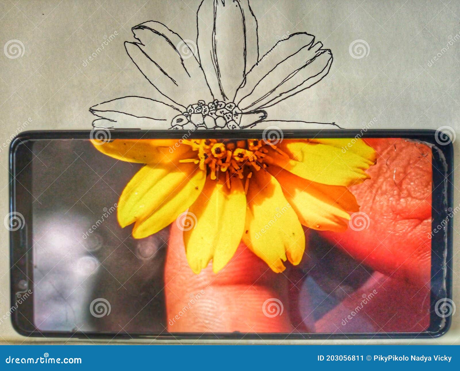 Flower Portraits or Pictures Stock Image - Image of illustrations ...