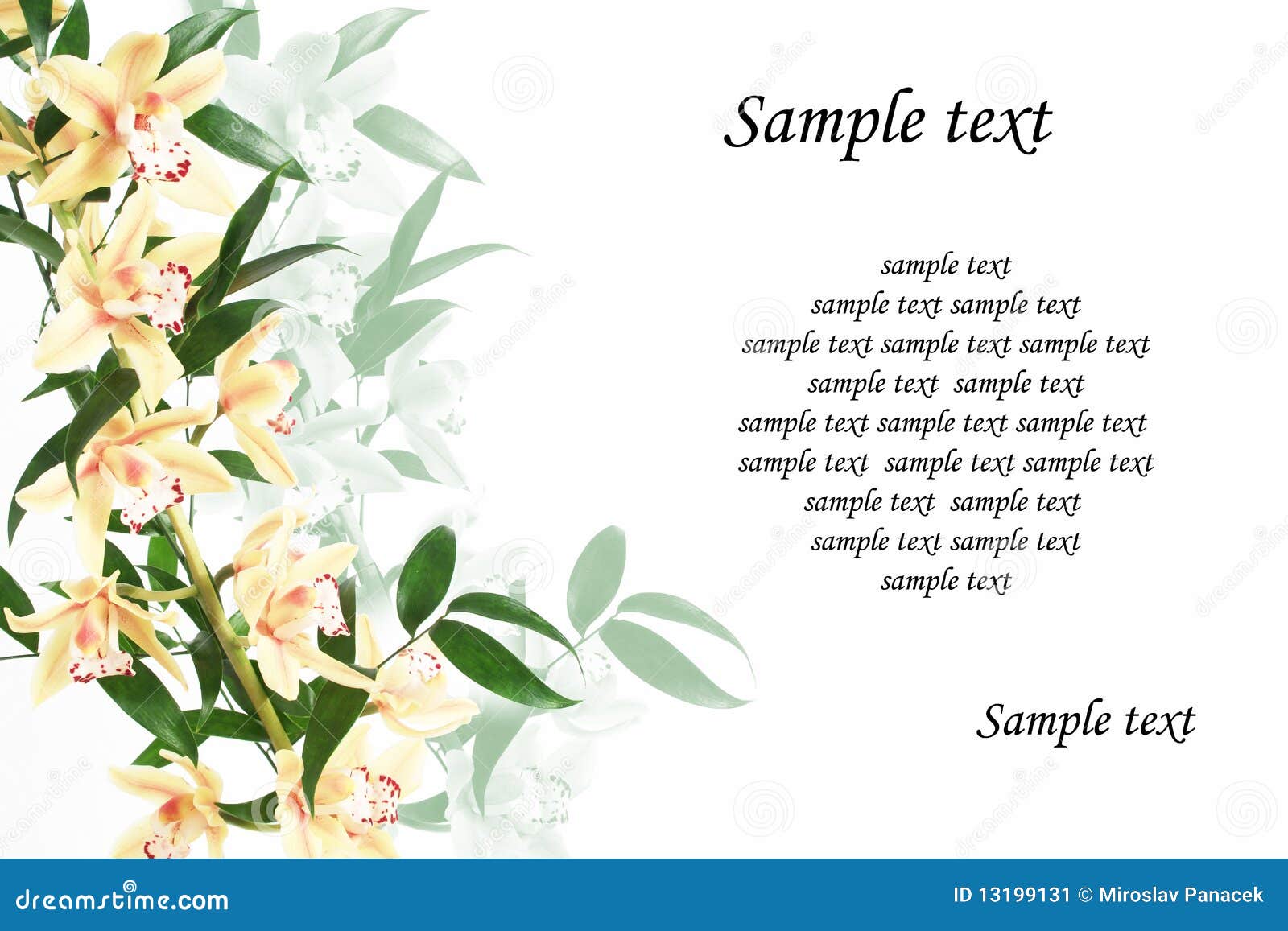 Flower post card stock illustration. Illustration of flower - 13199131