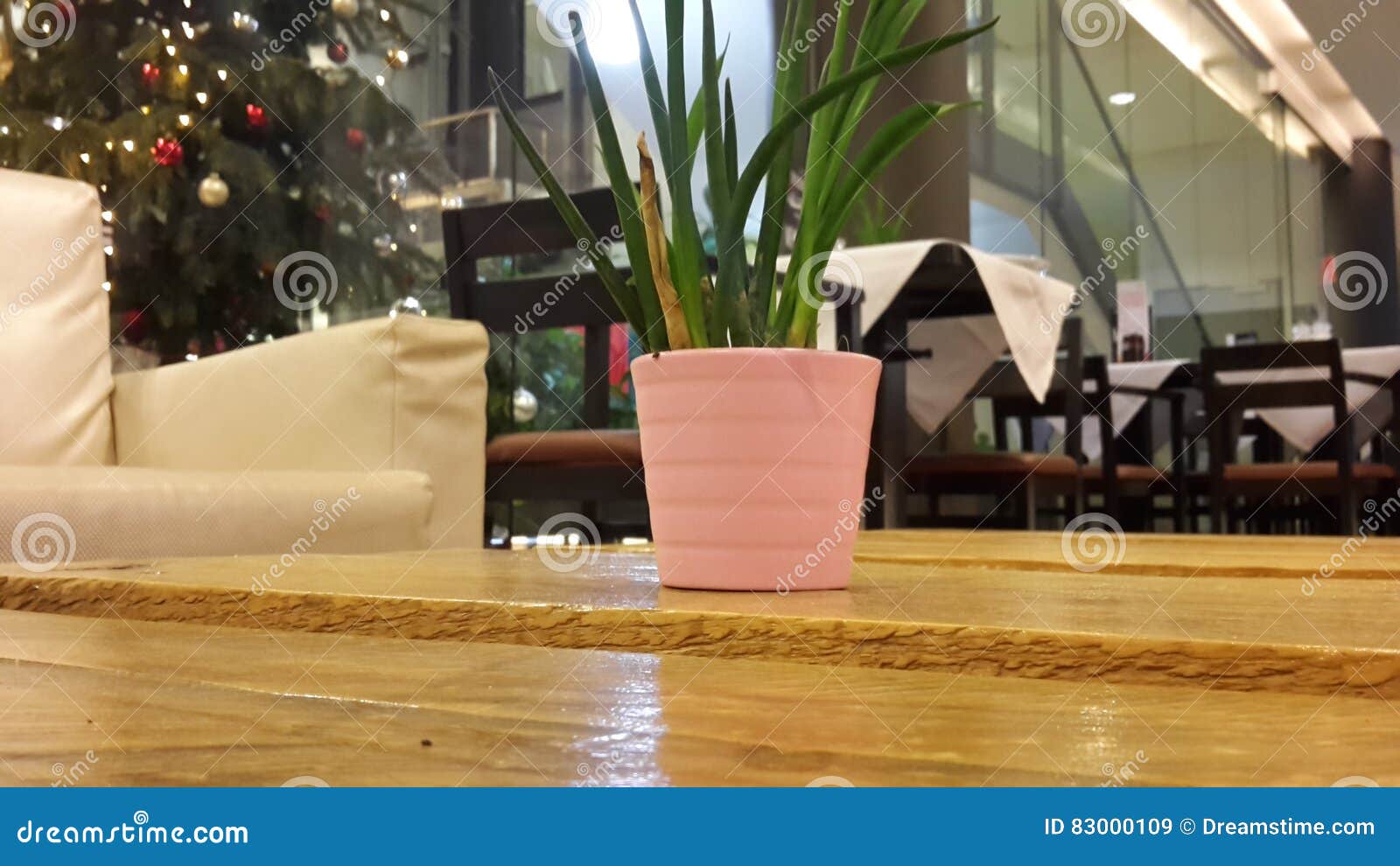 Flower stock image. Image of table, seat, restaurant - 83000109