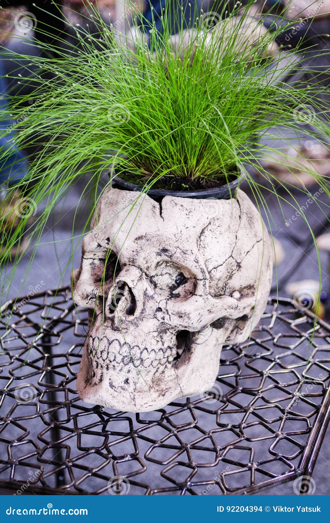 Flower Pot As a a Human Skull. Front View. Decorative Pot. Interior ... Flower Pot As a a Human Skull. Front View. Decorative Pot. Interior ...