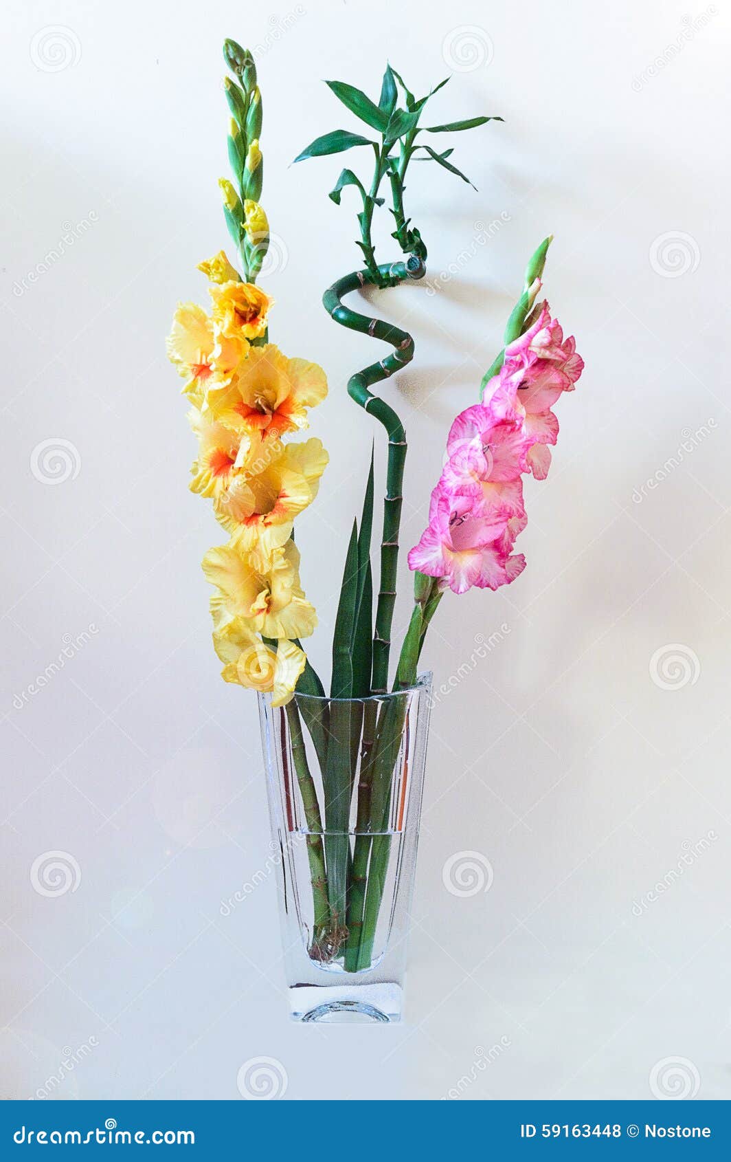 Flower pot stock photo. Image of beautiful, buds, bloom - 59163448