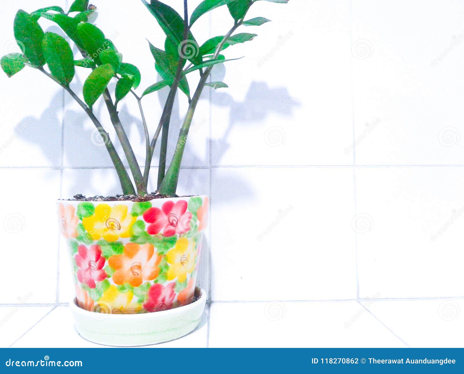 Flower Pot with Bright Floral Pattern. Stock Photo - Image of bright ...