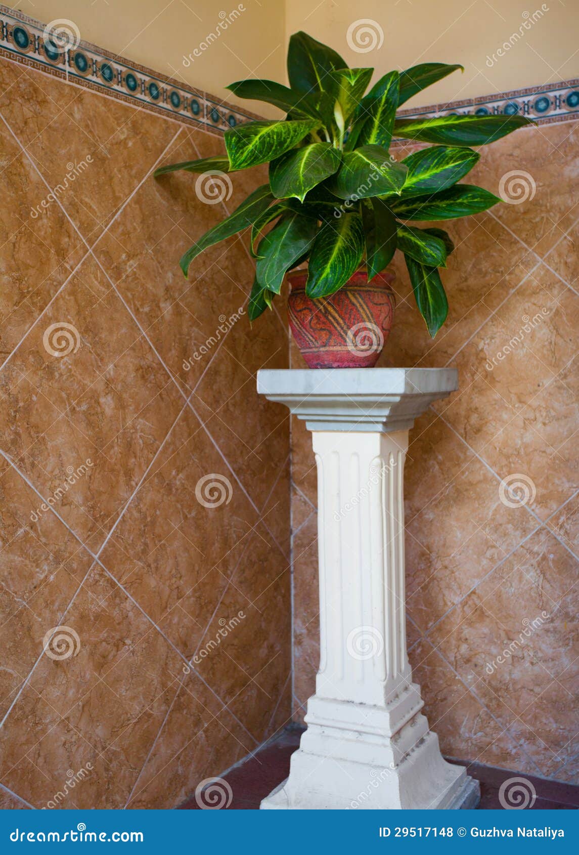 Flower pot on column stock photo. Image of interior, classicism - 29517148