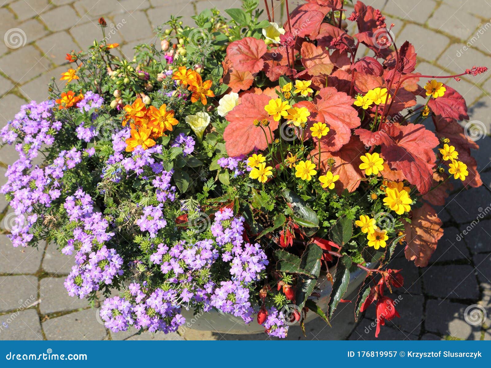 Flower pot stock image. Image of blooming, ceramic, flowers - 176819957