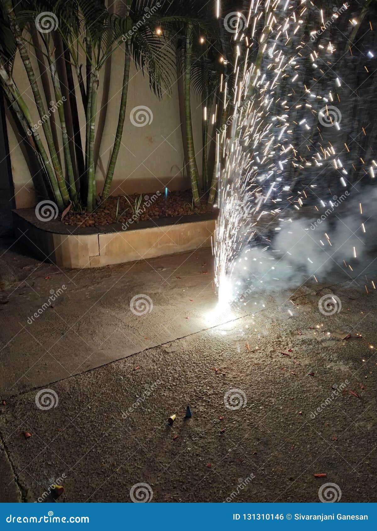 Flower pot cracking stock photo. Image of flower, flowers - 131310146