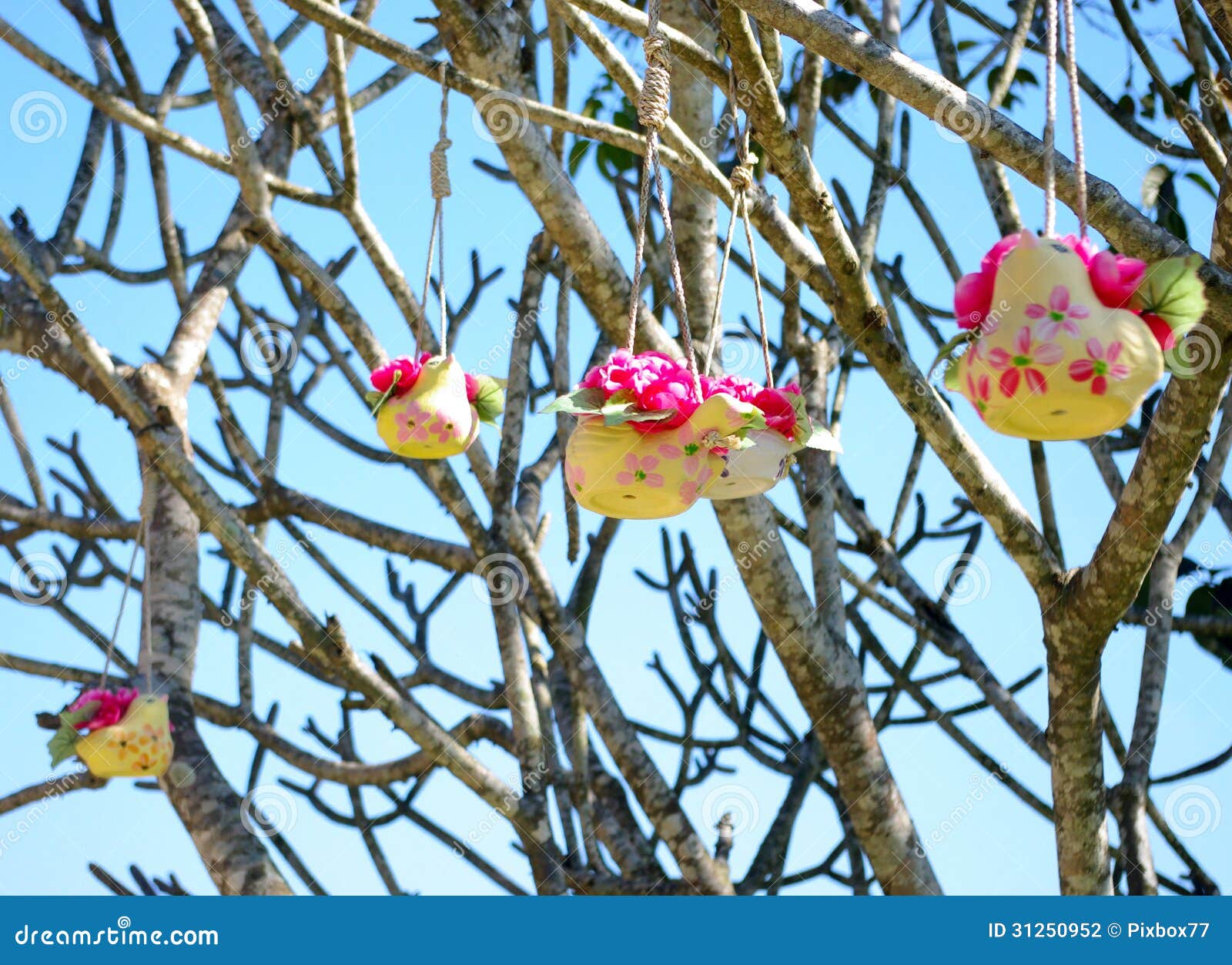 Flower pot hanging on tree stock photo. Image of colorful - 31250952