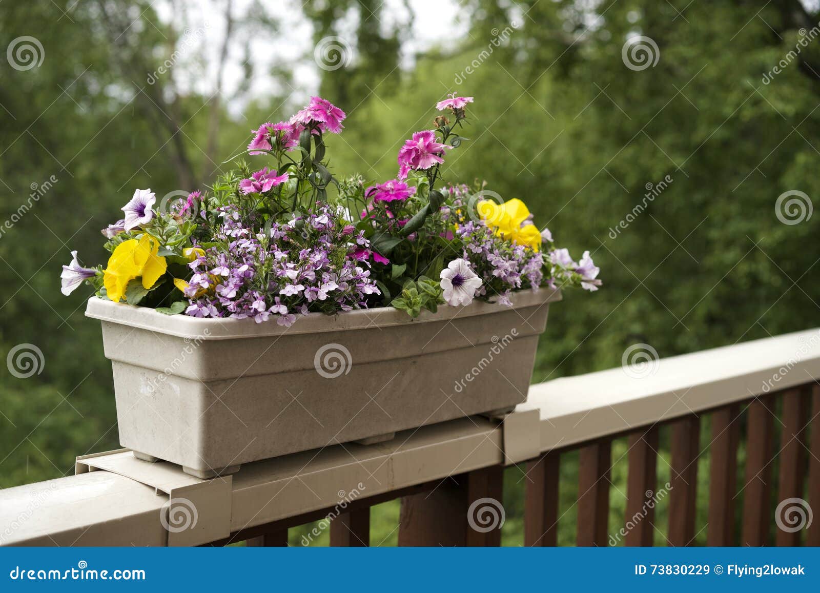 Flower Pot with Mixture of Flowers Stock Image - Image of sitting ...