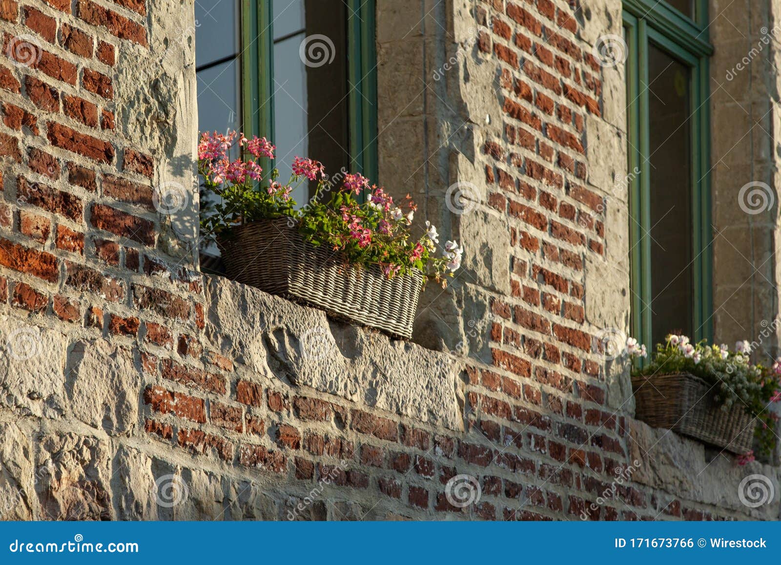 Flower Pot Near a Window of a Brick Building Stock Photo - Image of ...