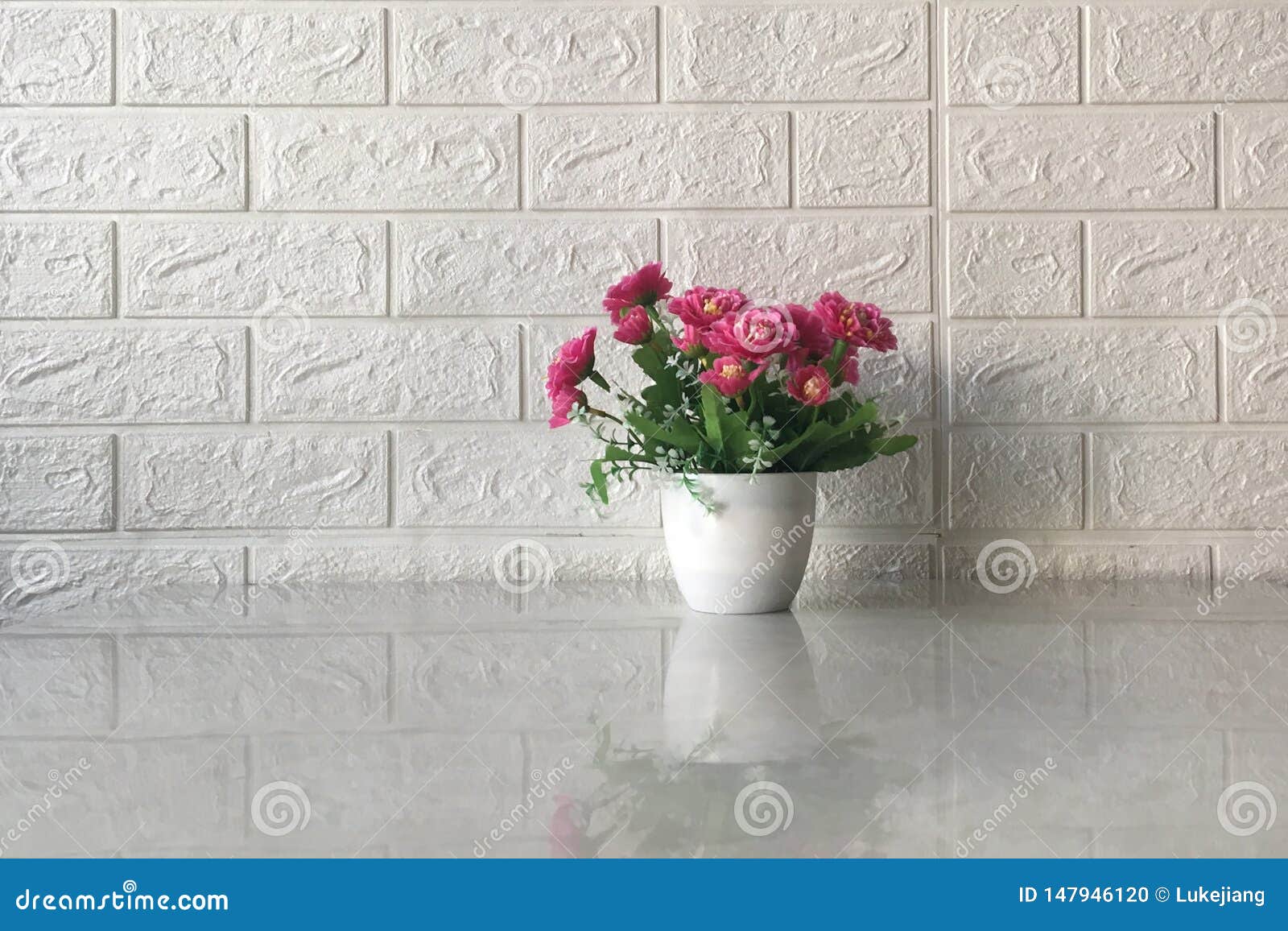 Flower pot stock photo. Image of plant, reflective, selection - 147946120