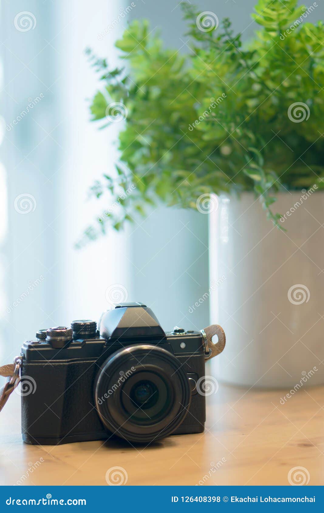 Flower Pot and Retro Camera. Stock Photo - Image of container, beauty ...