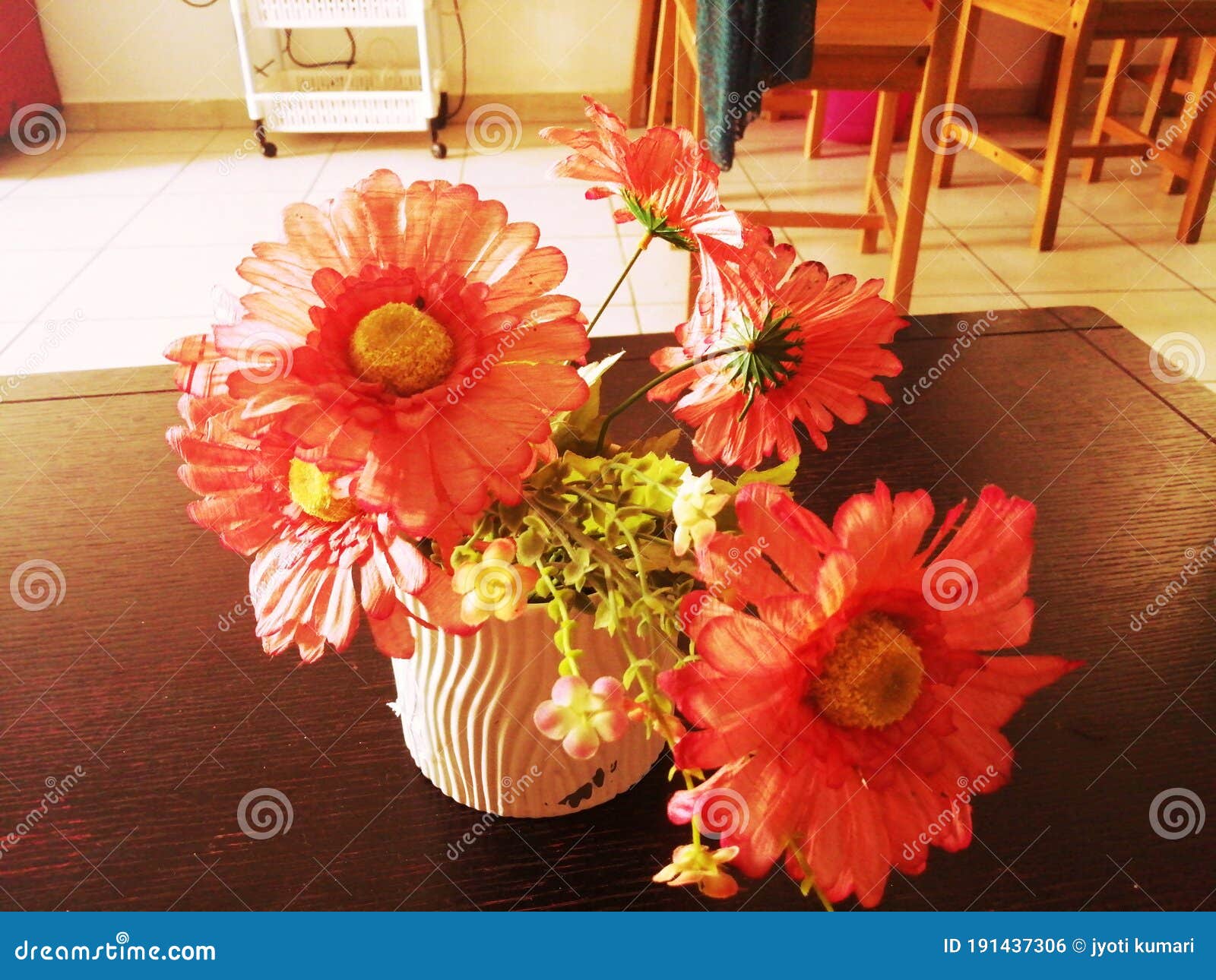 Flower pot in the room stock photo. Image of light, flower - 191437306