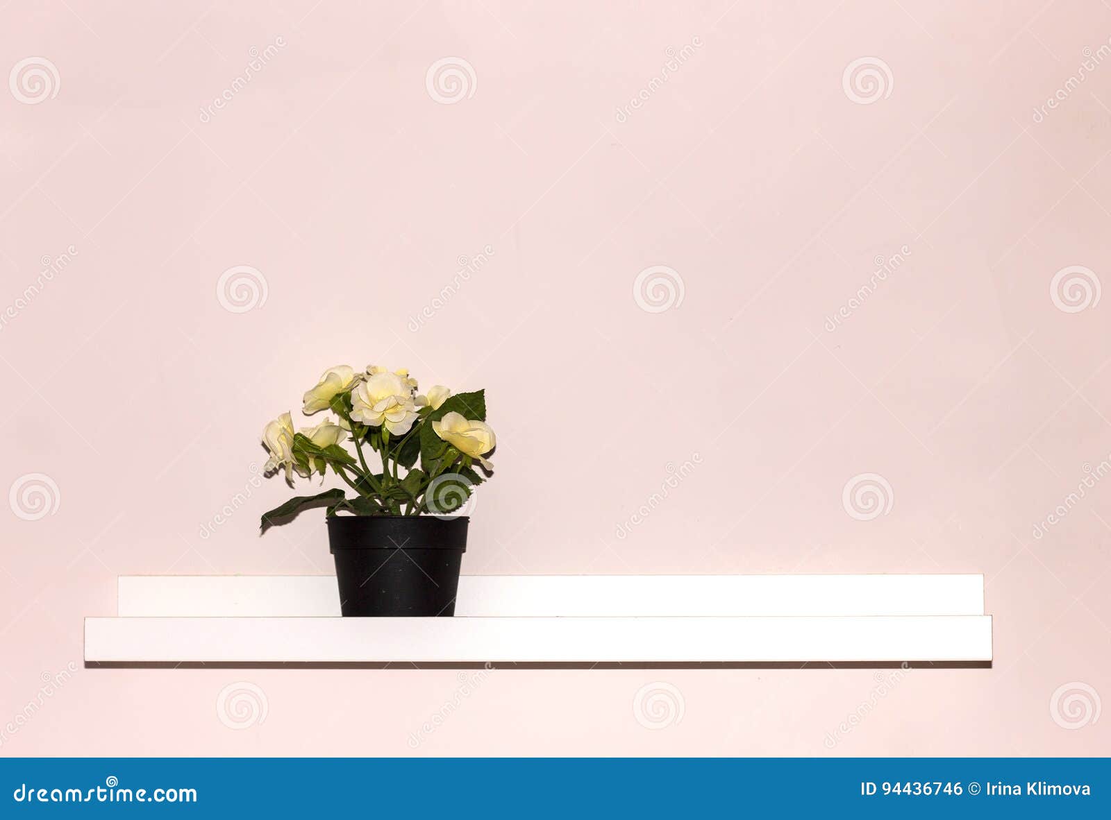 The Flower Pot on the Shelf Stock Photo - Image of flowers ...