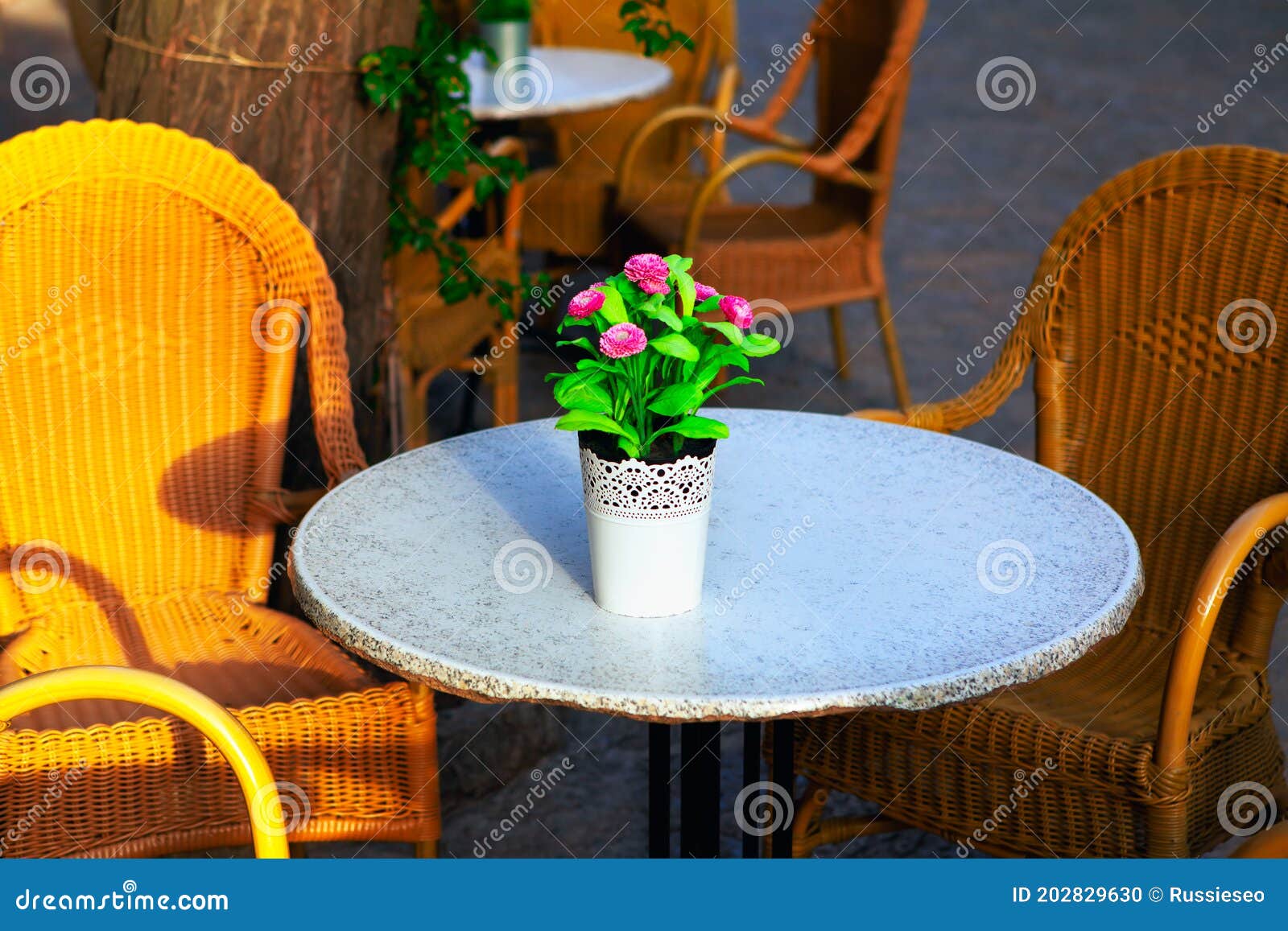 Flower pot on the table stock photo. Image of decor - 202829630