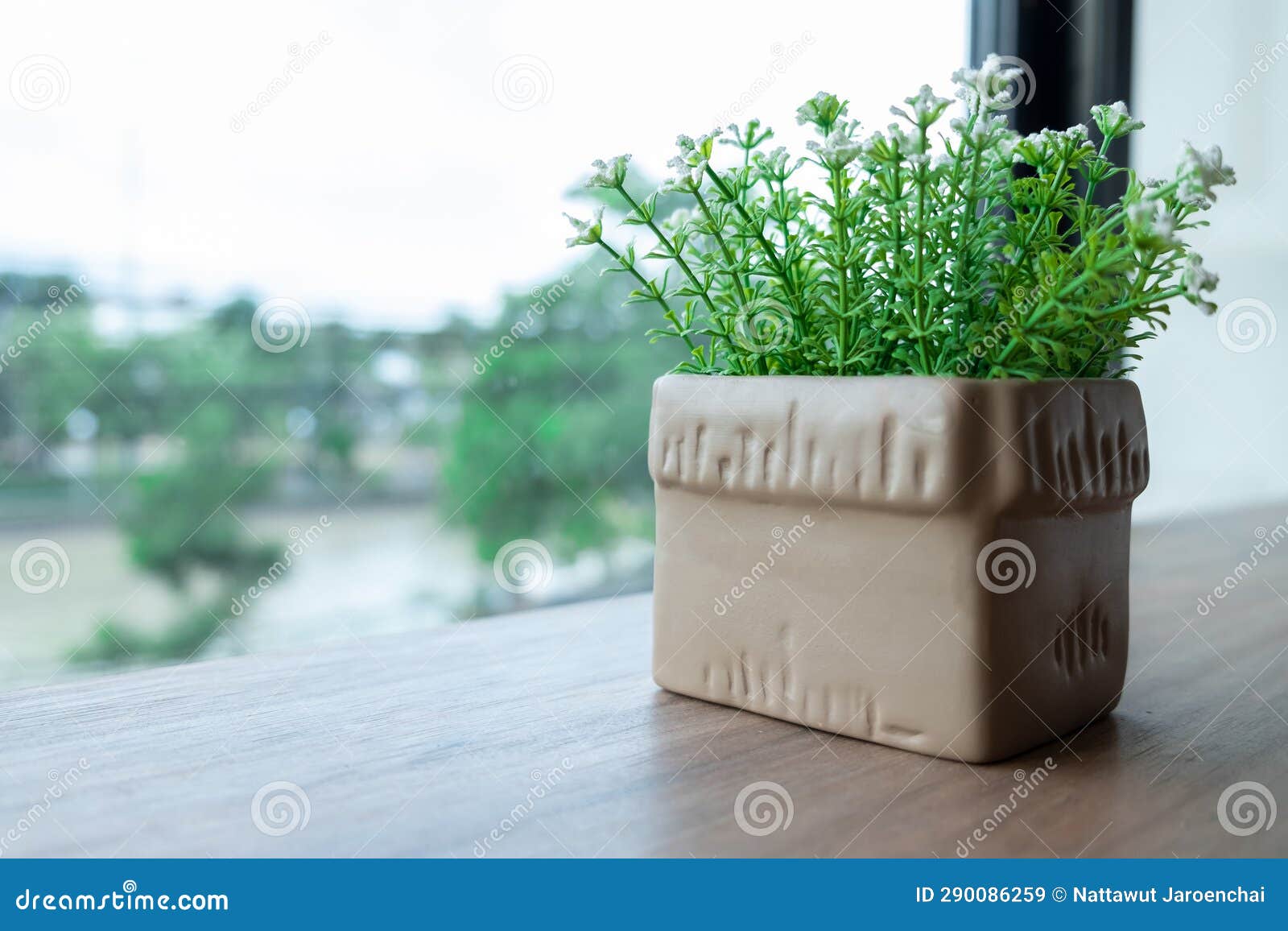 Flower pot on the table stock image. Image of natural - 290086259