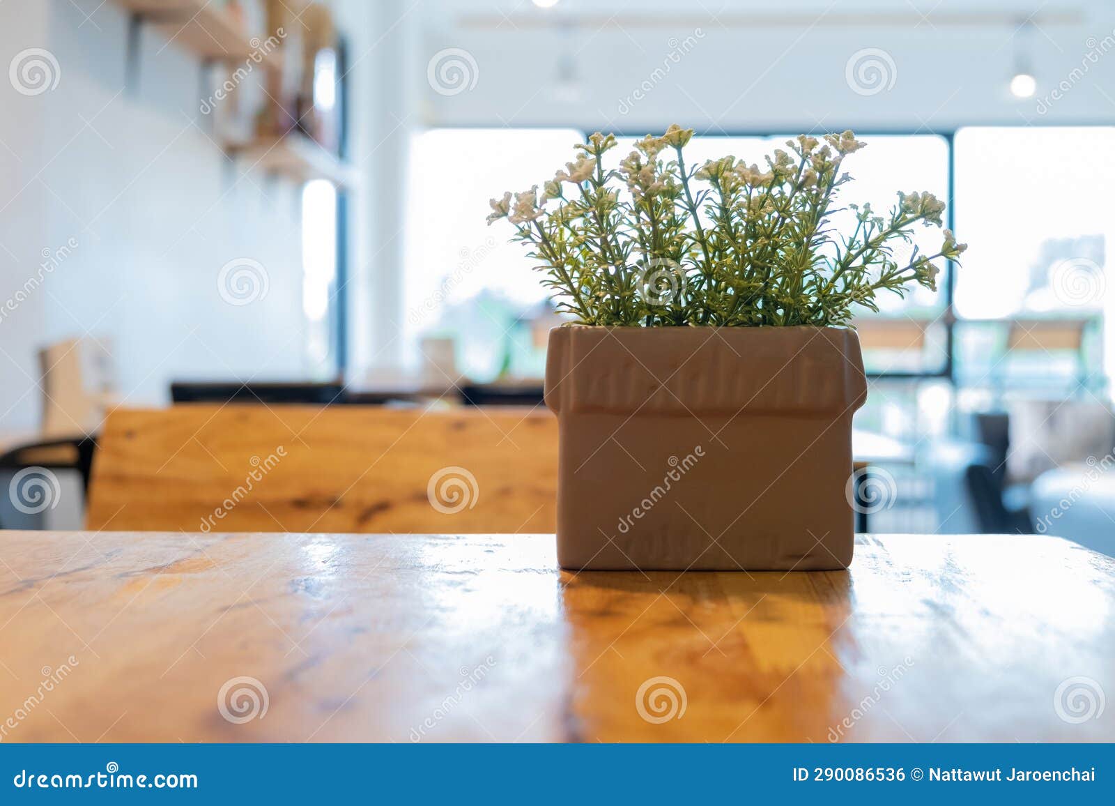 Flower pot on the table stock photo. Image of floral - 290086536