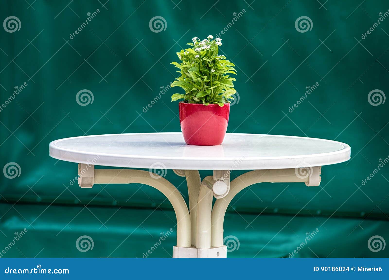 Flower pot on table stock photo. Image of stylish, elegant - 90186024