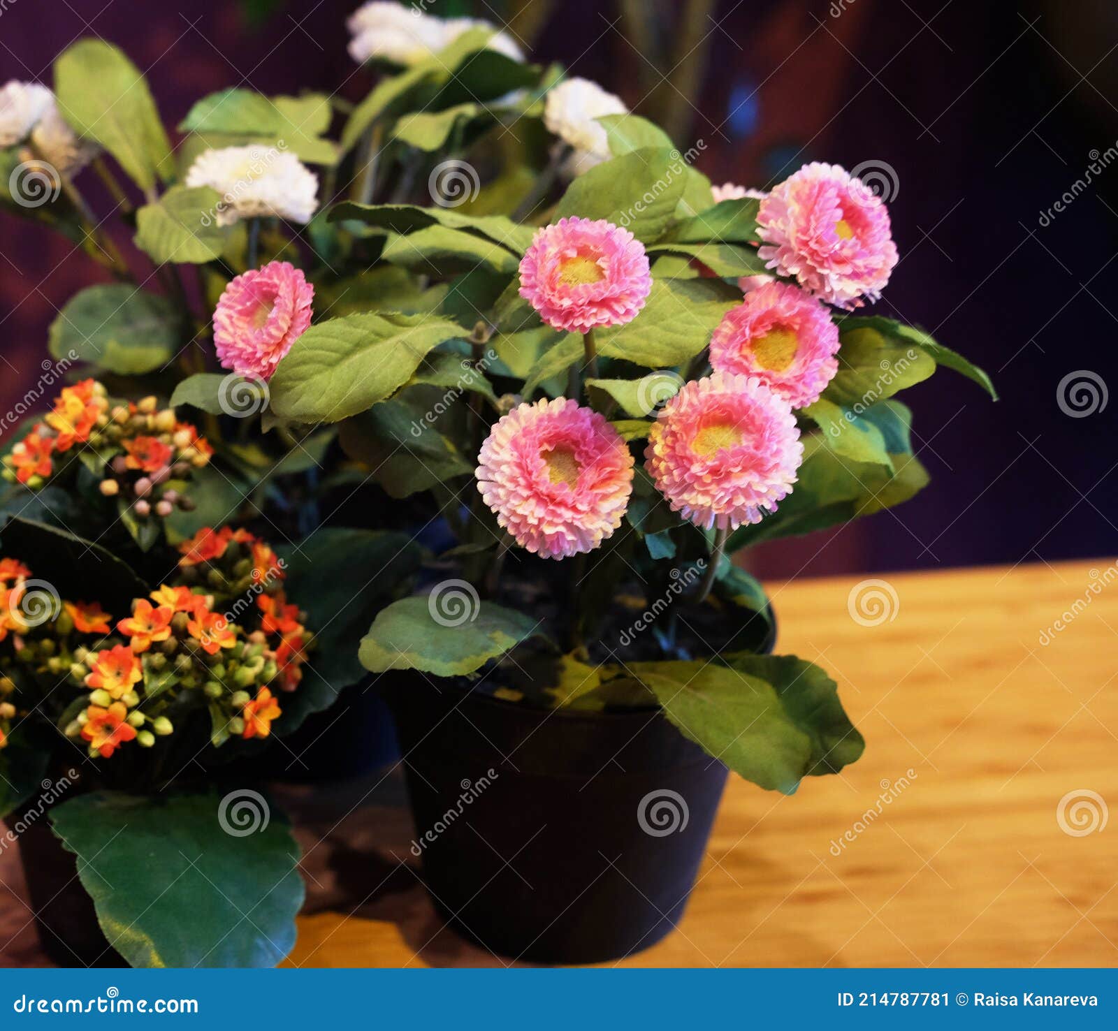 Flower pot on the table stock image. Image of room, office - 214787781