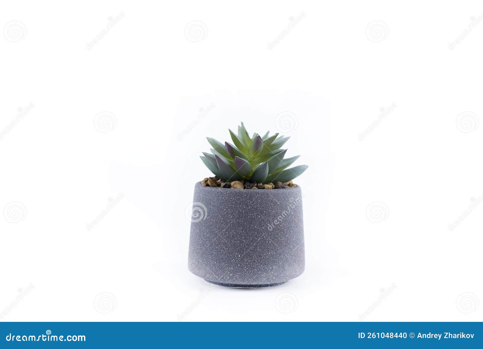 Flower Pot in a Pot on the Table. on a White Background. Stock Photo ...