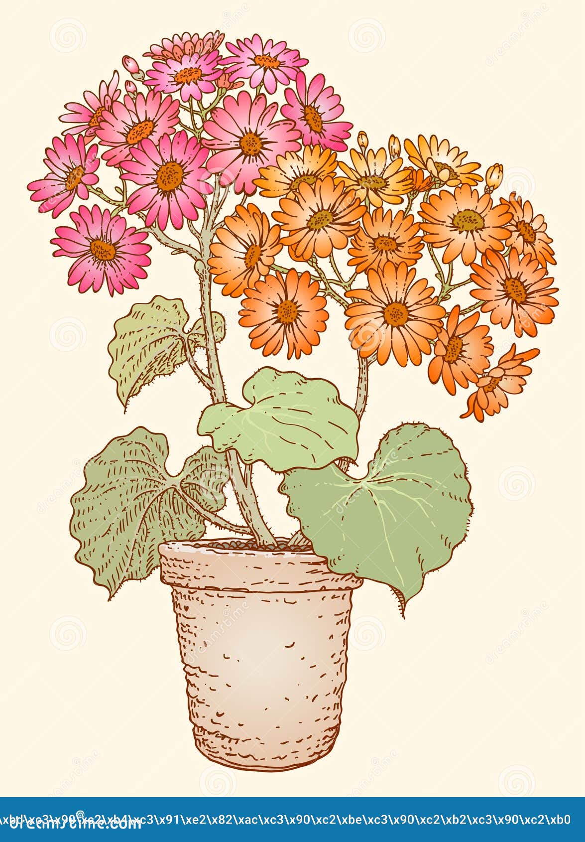 Flower pot. stock vector. Illustration of blossom, leaf - 54065953