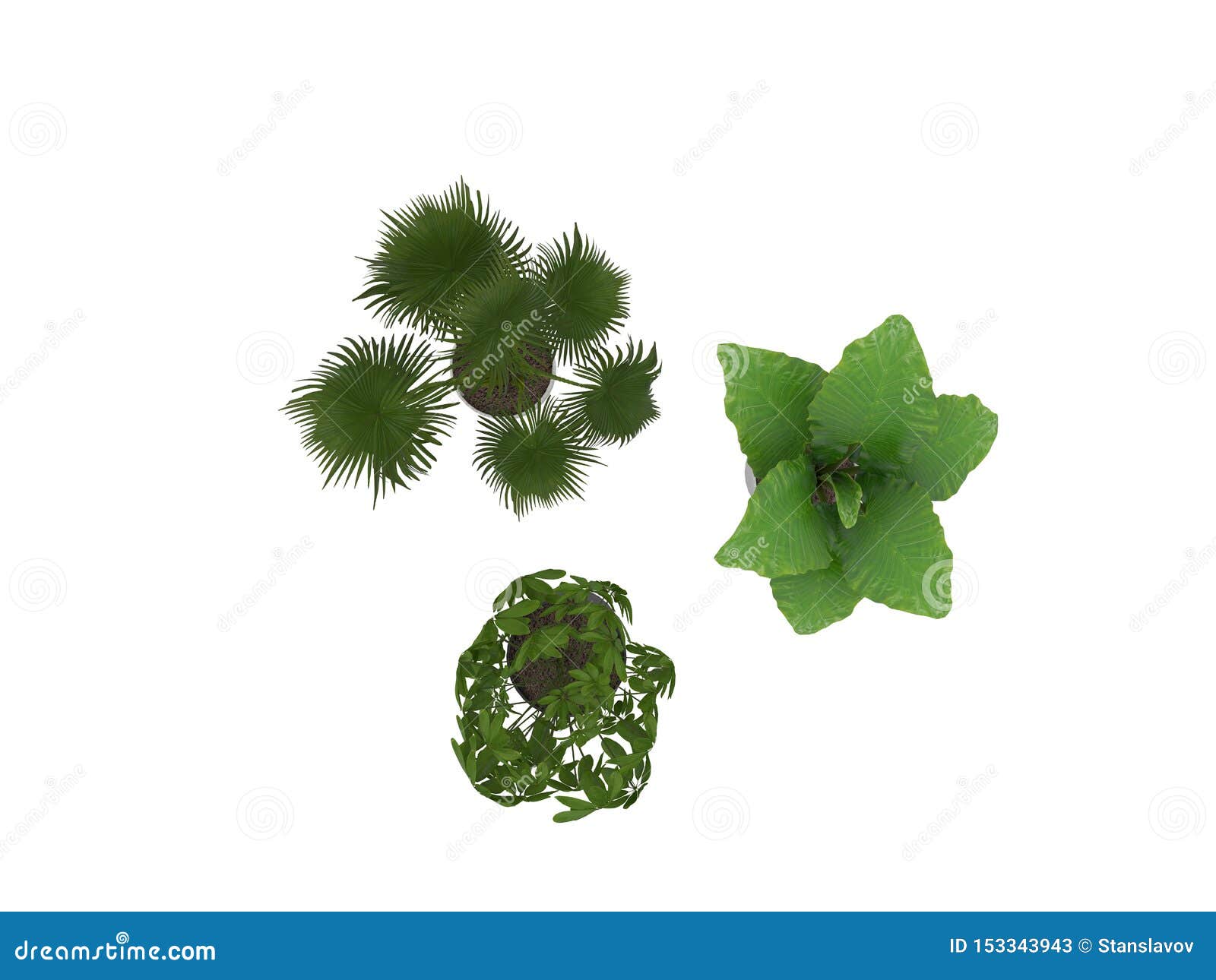 Flower in a Pot View from Above Path Selection Stock Image - Image of ...