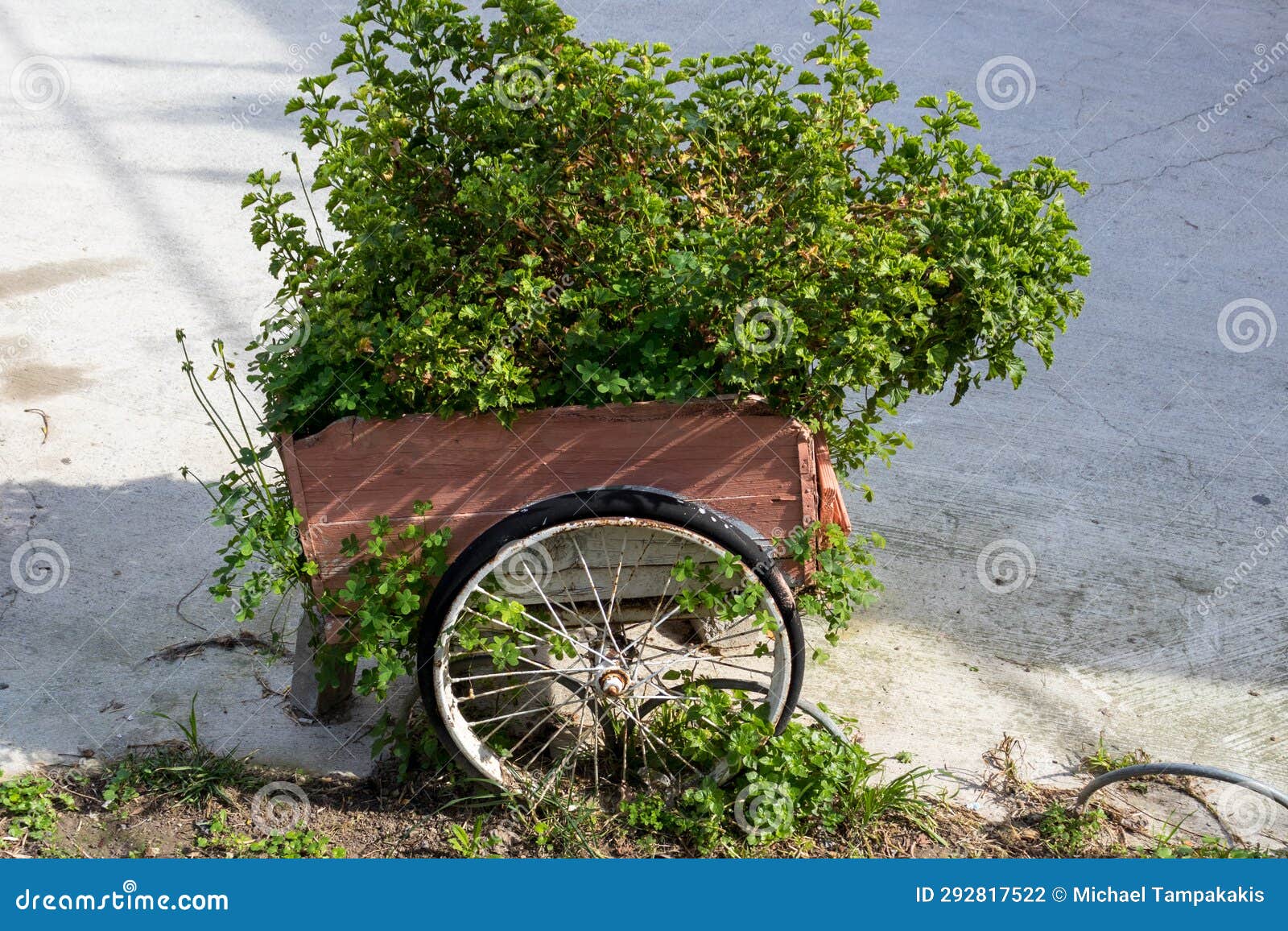 A flower pot with wheels editorial photography. Image of yard - 292817522