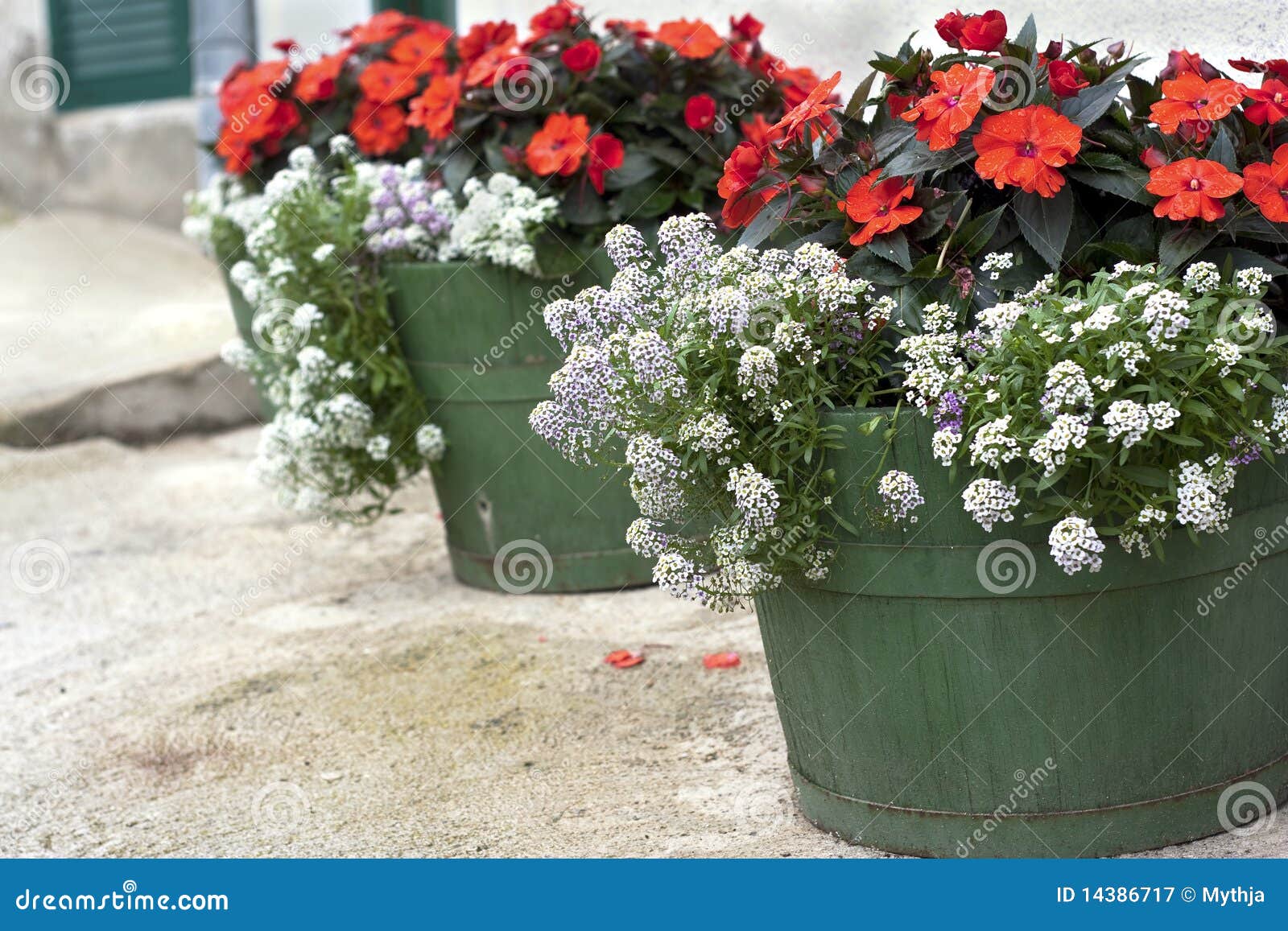 Flower pots stock image. Image of wood, vessel, shape - 14386717