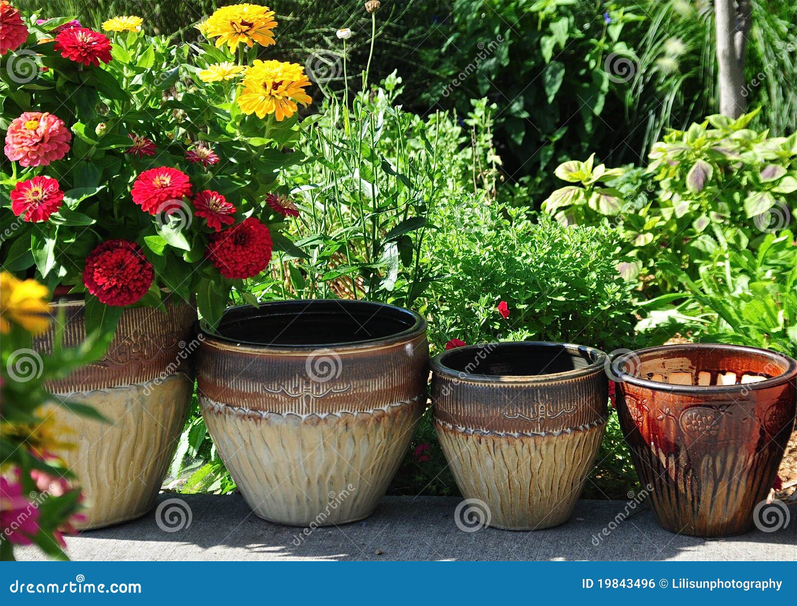 Flower Pots stock photo. Image of pots, landscape, garden - 19843496