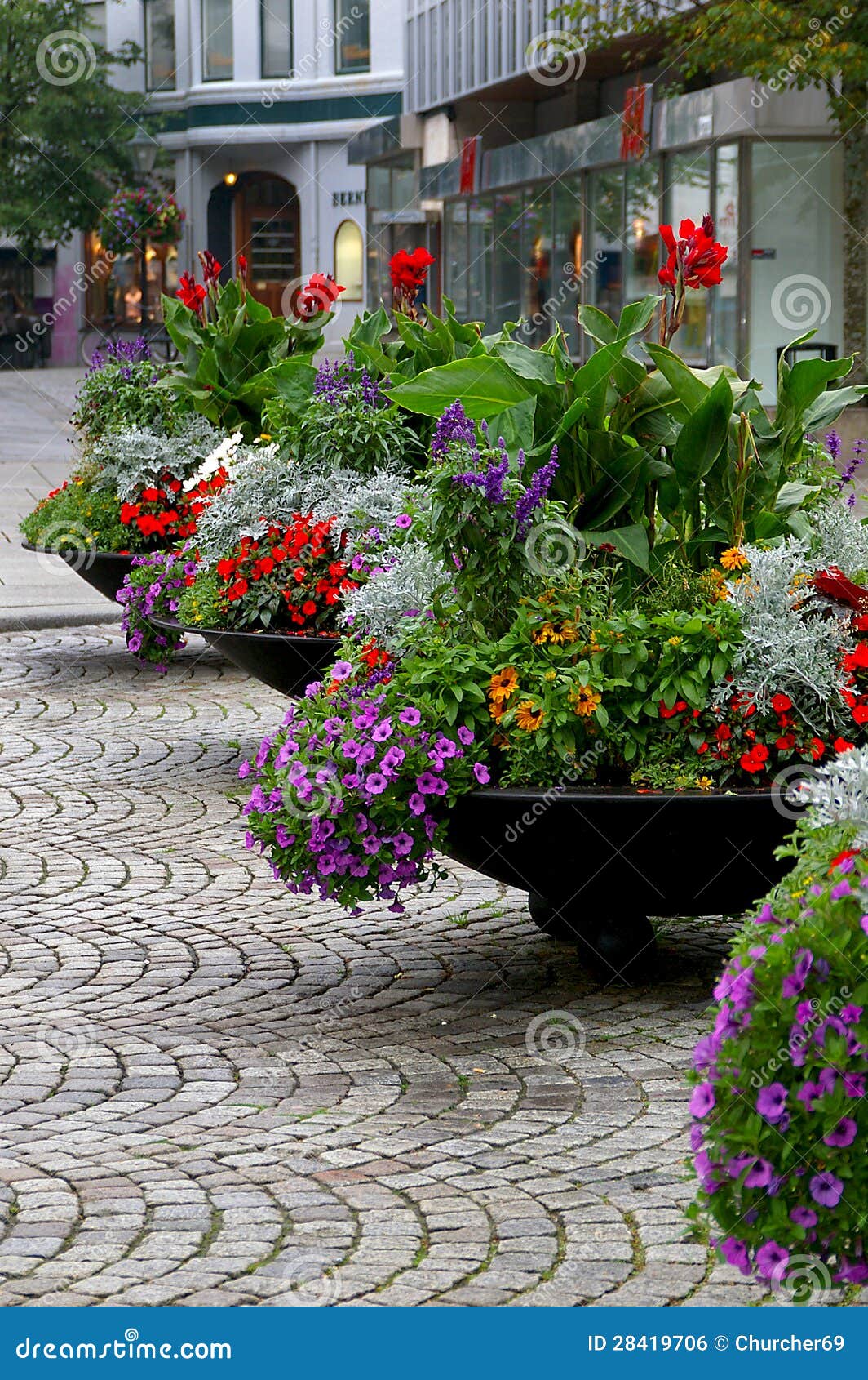 Flower Pots in full bloom stock photo. Image of shops - 28419706