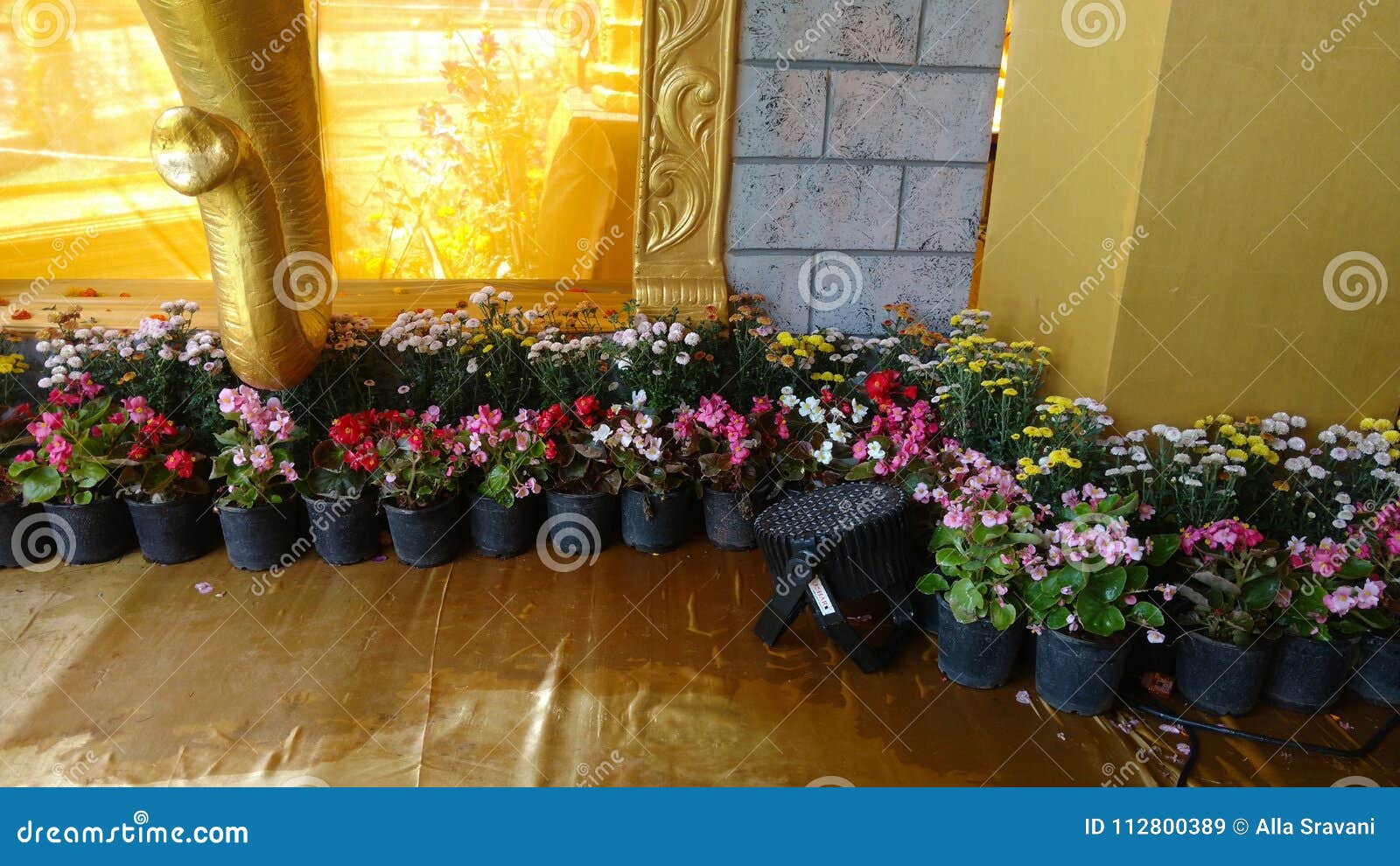 Rows of flower pots stock image. Image of pillor, petals - 112800389