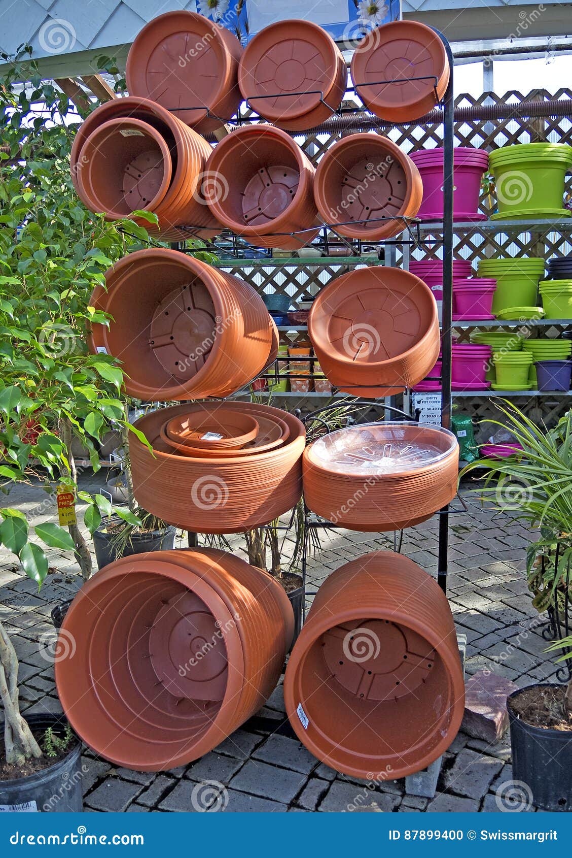Flower pots on display stock photo. Image of plant, detail - 87899400