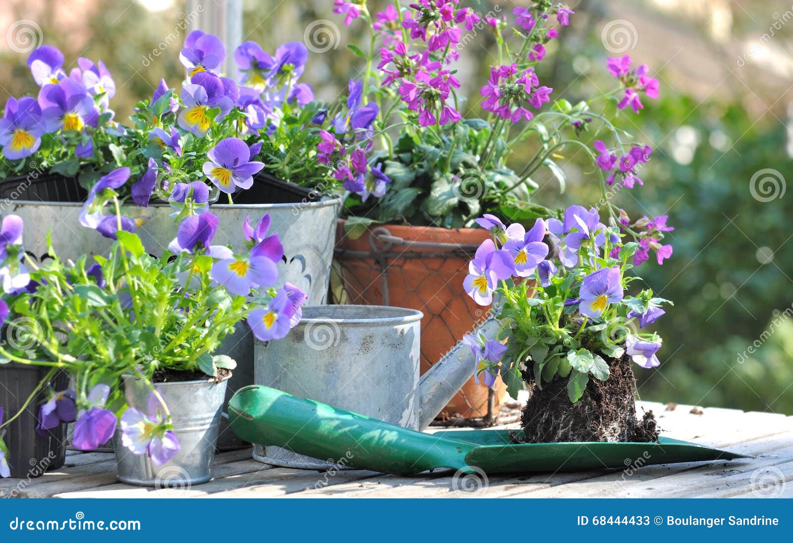 Flower Pots on a Garden Table Stock Image - Image of purple, nature ...