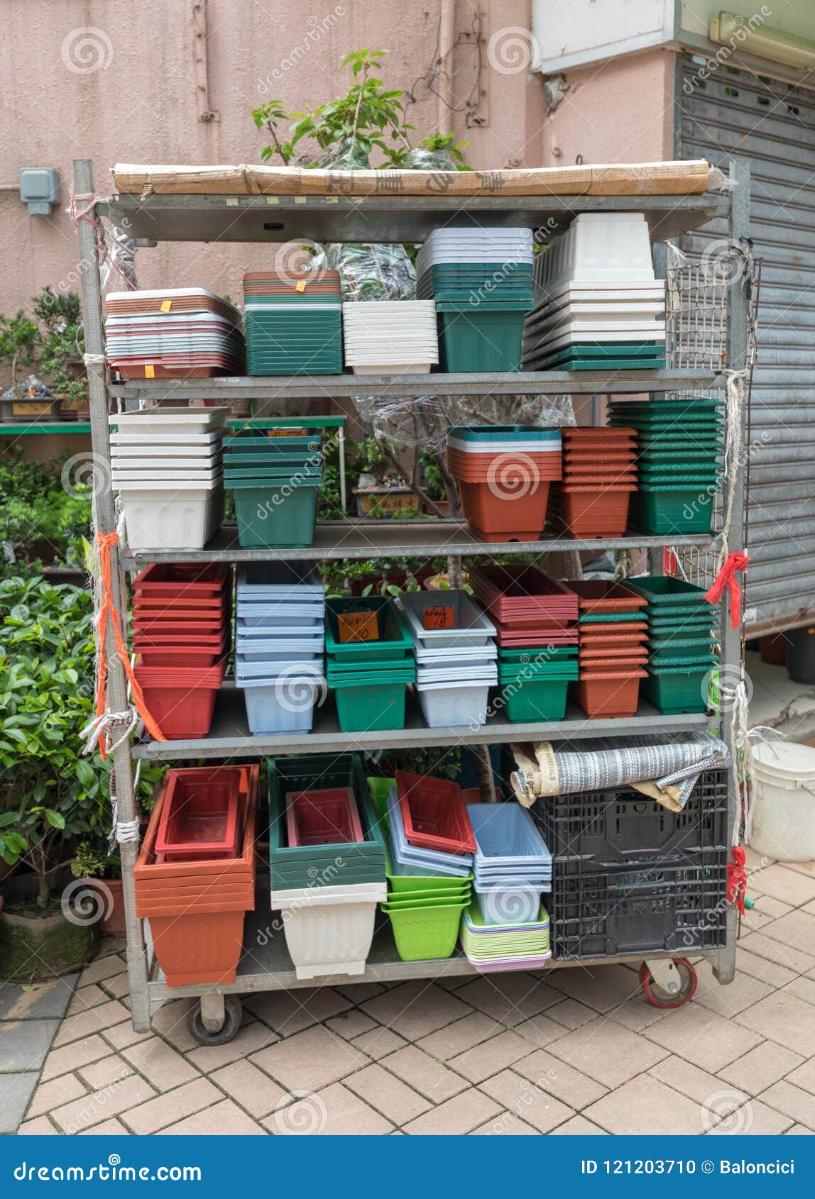 Flower Pots Shelf stock photo. Image of kong, plastic - 121203710